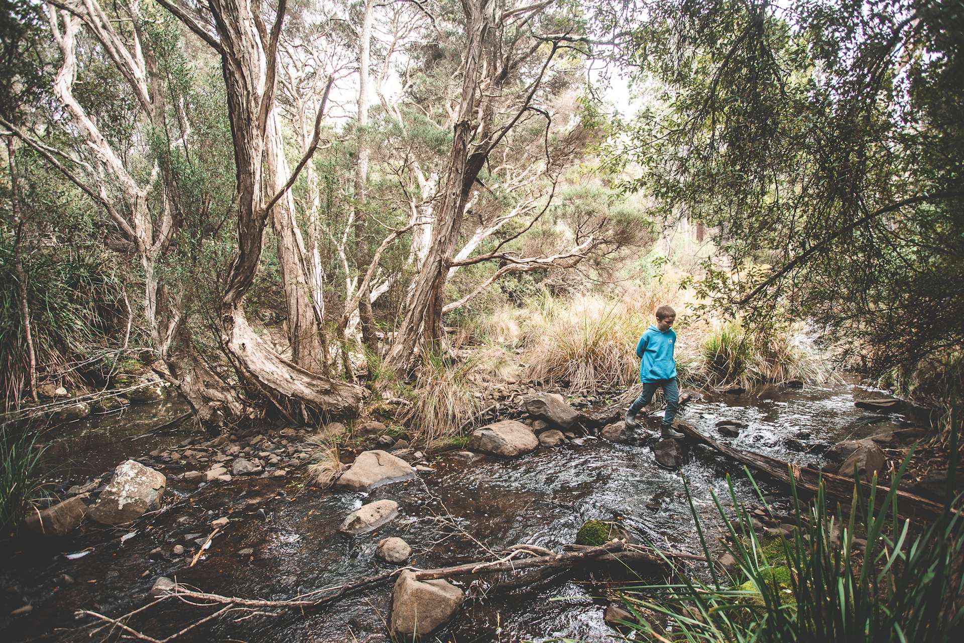 Grindelwald Peaceful Retreat - Hipcamp in , Tasmania