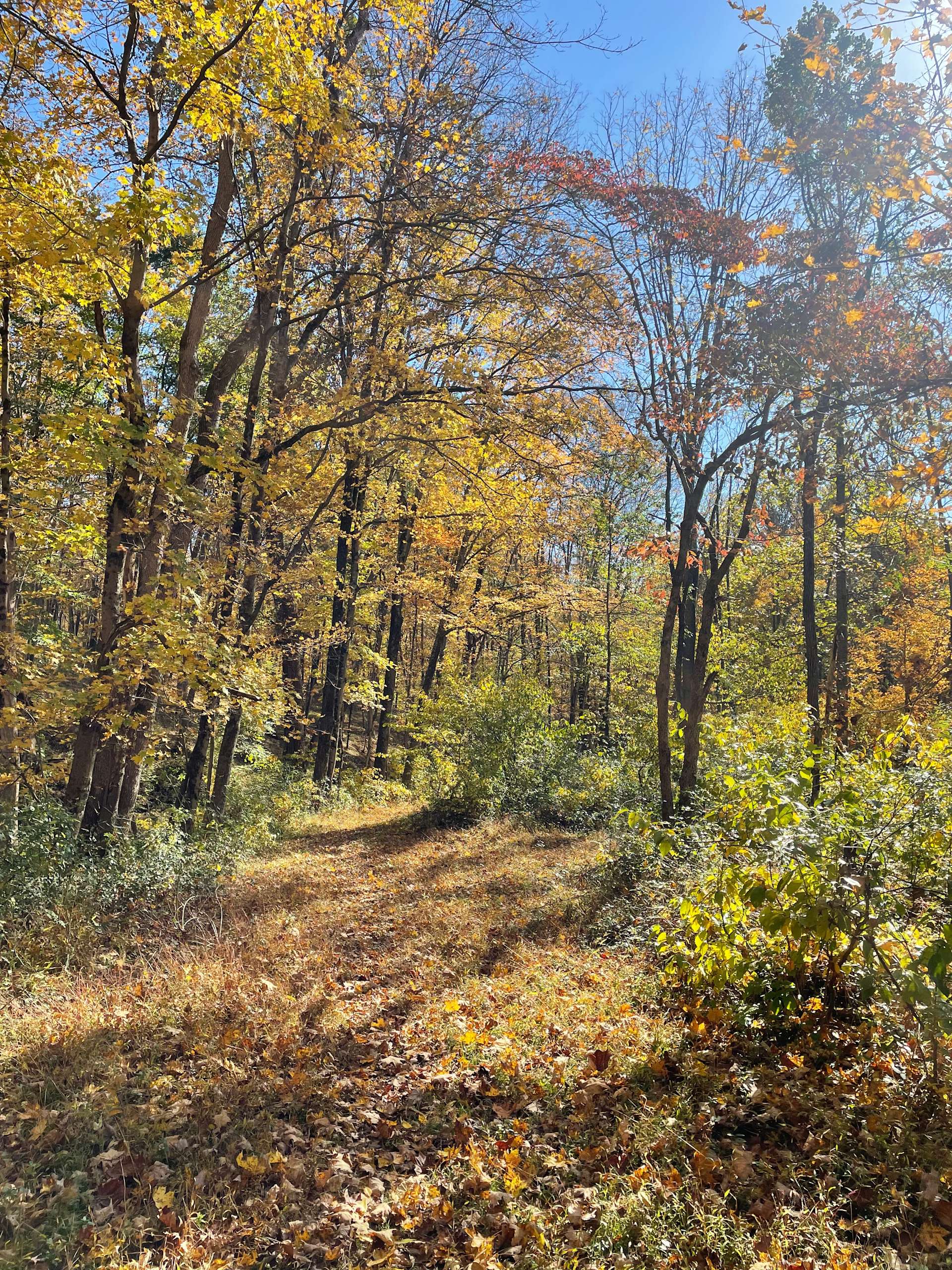 Grampy's Red Rock Rabbit Ranch - Hipcamp in Schwenksville, Pennsylvania