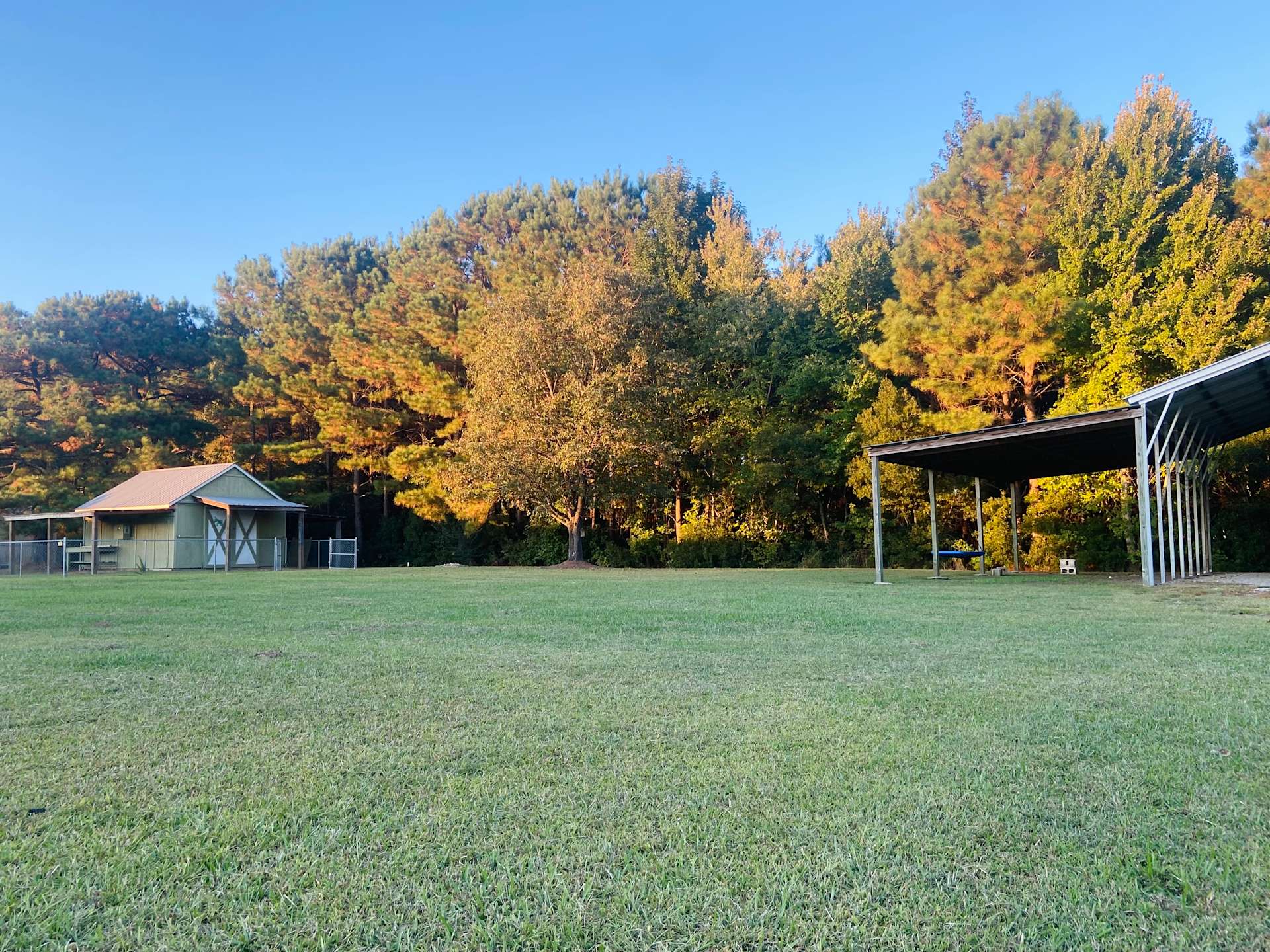 Little Green House - Hipcamp in Pinetown, North Carolina