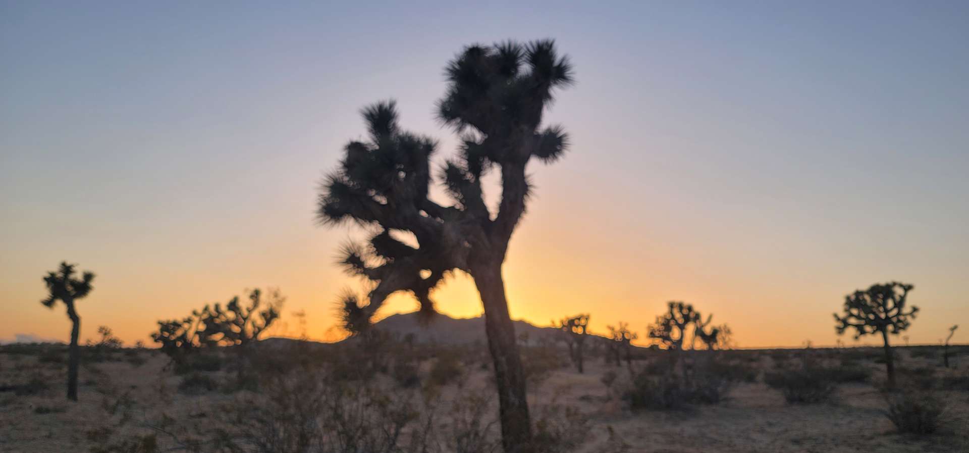 RattleSnake Ranch - Hipcamp in , California