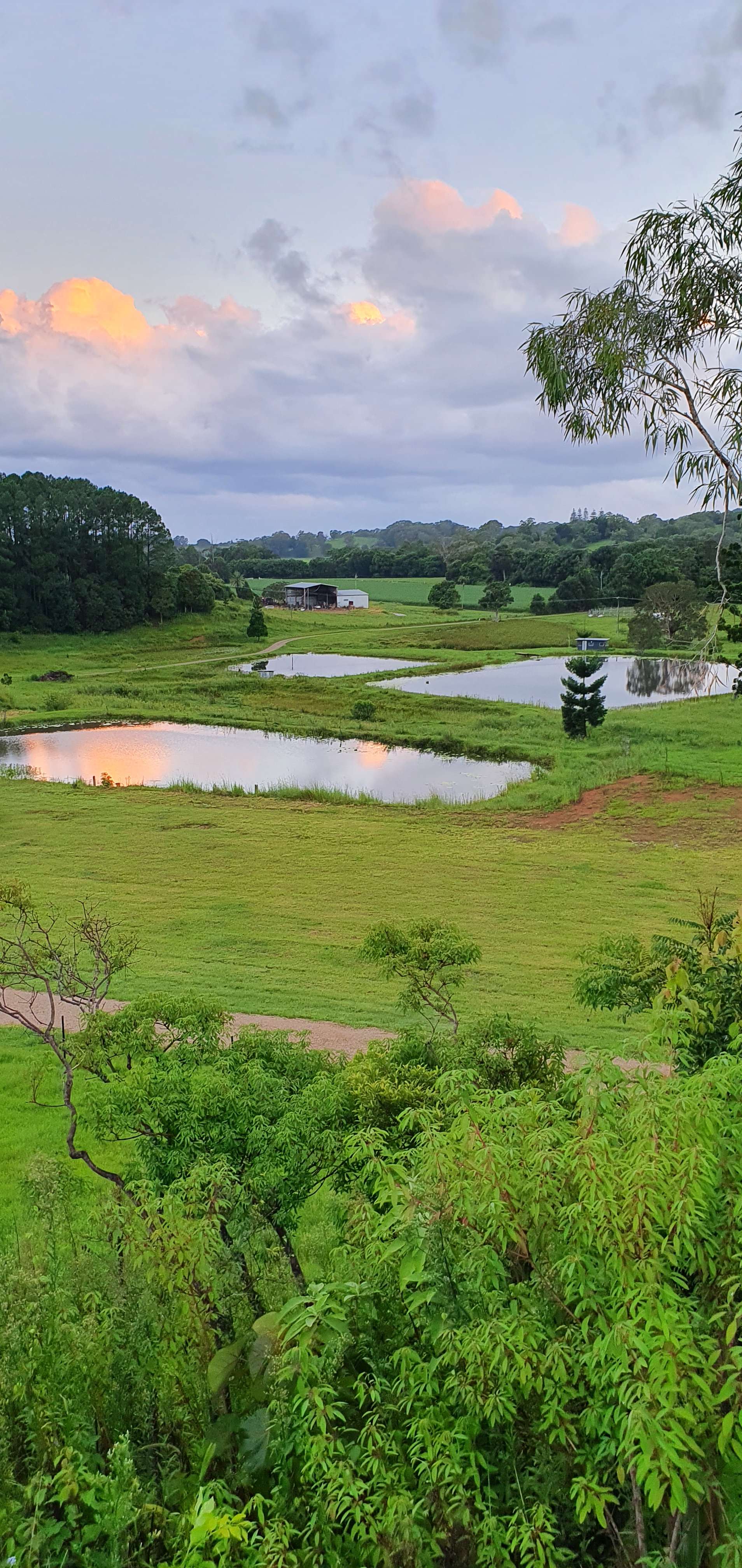 "JALUM" Undulating Farmland! - Hipcamp in Mooball, New South Wales