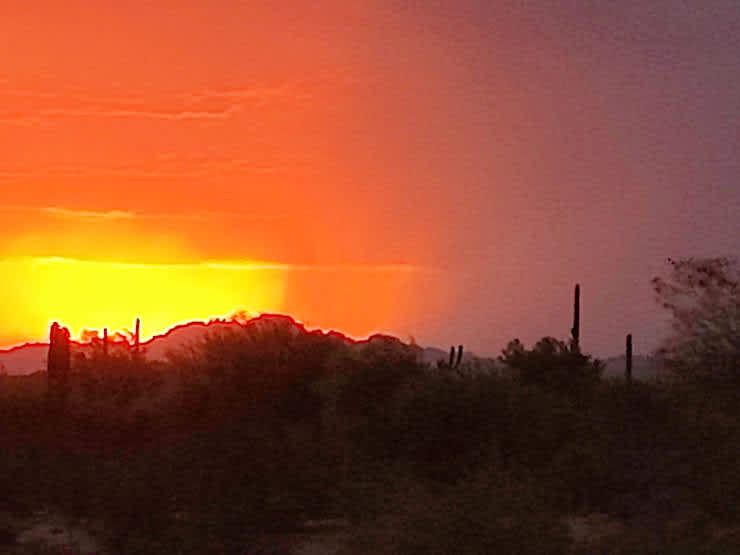 Wild Coyote Ranch - Hipcamp in Wittmann, Arizona