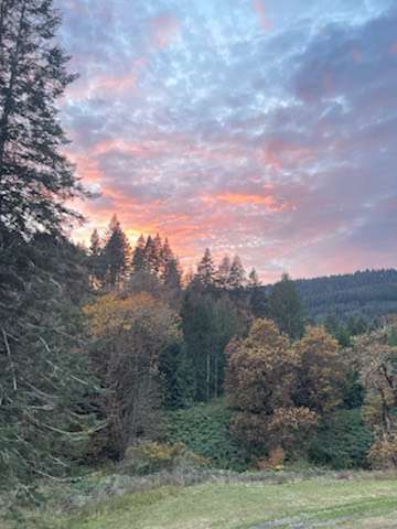 Camp Paradise Creek - Hipcamp in Elkton, Oregon