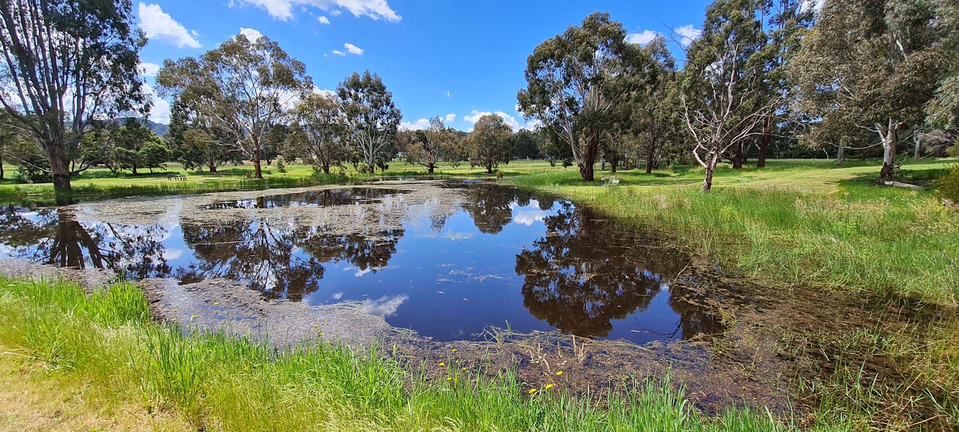 Amazing Rising - Hipcamp in Merton, Victoria