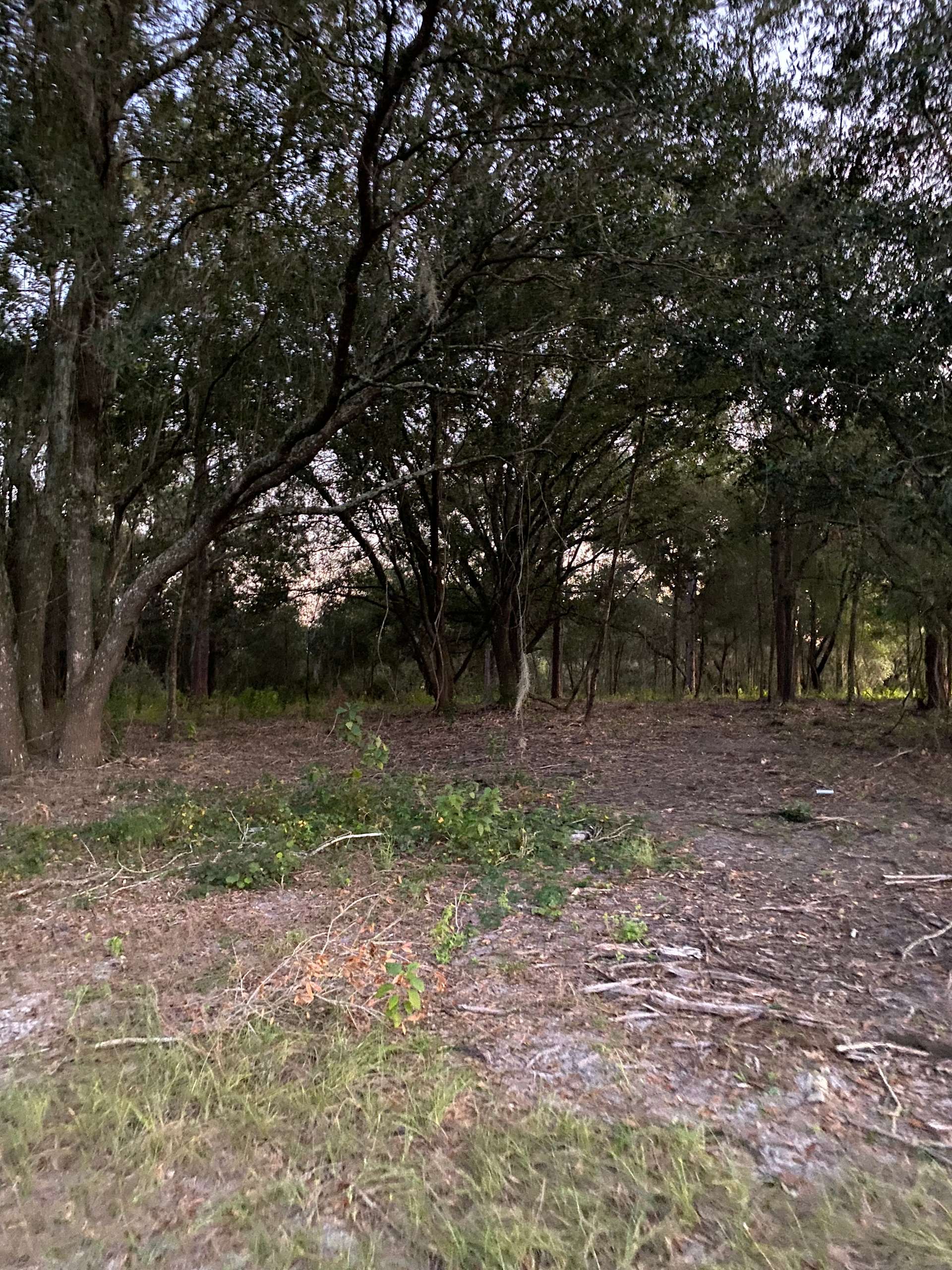20 Acres Pond at Green Swamp - Hipcamp in , Florida