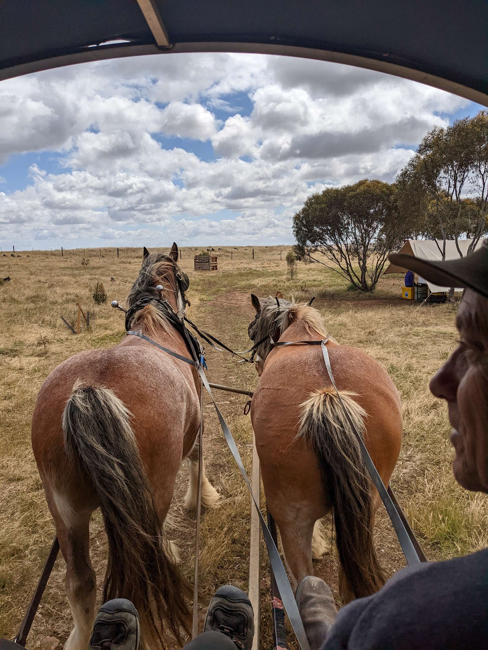 Harry’s Rockleigh Bush Camp - Hipcamp in Rockleigh, South Australia