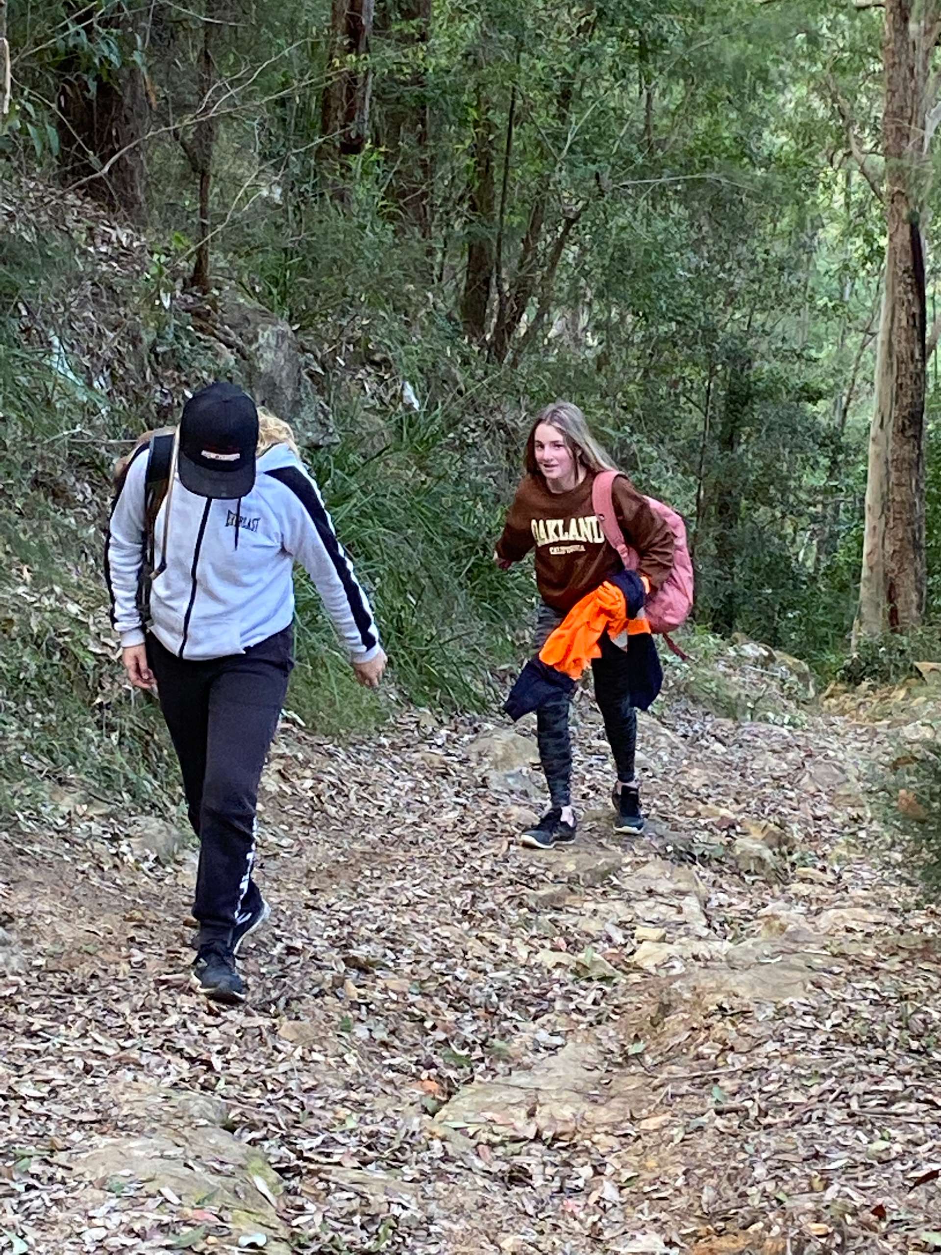 Myrtle Ridge farm - Hipcamp in Ourimbah, New South Wales