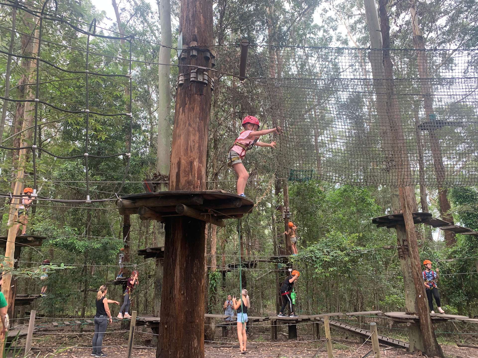 Myrtle Ridge farm - Hipcamp in Ourimbah, New South Wales