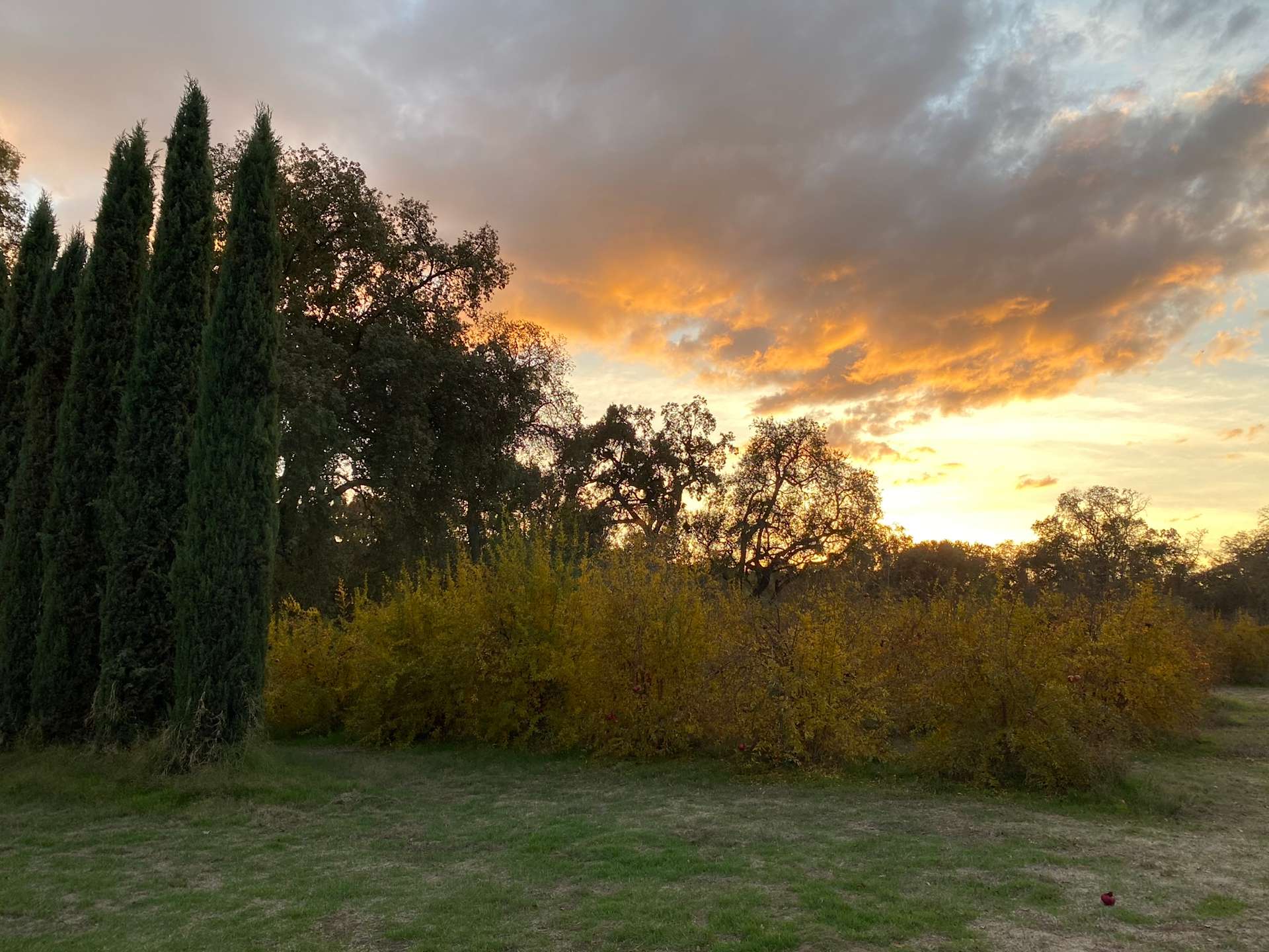 Cole Ranch - Hipcamp in Waterford, California