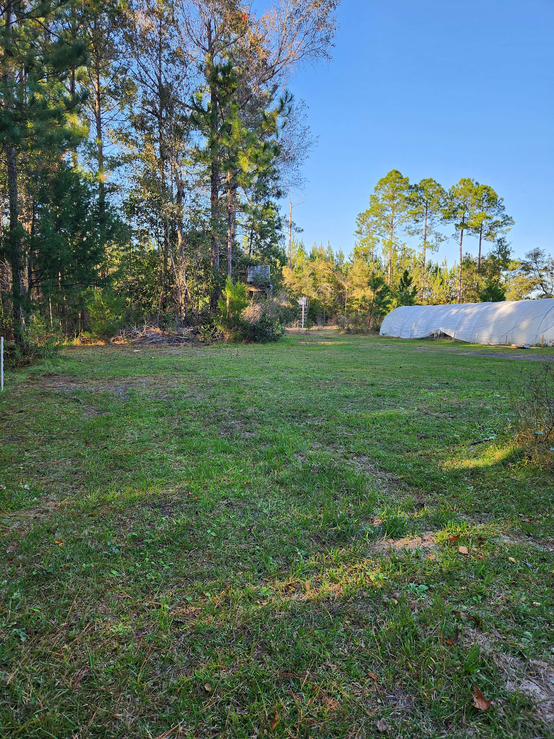 The Blueberry Ranch - Hipcamp in Yulee, Florida