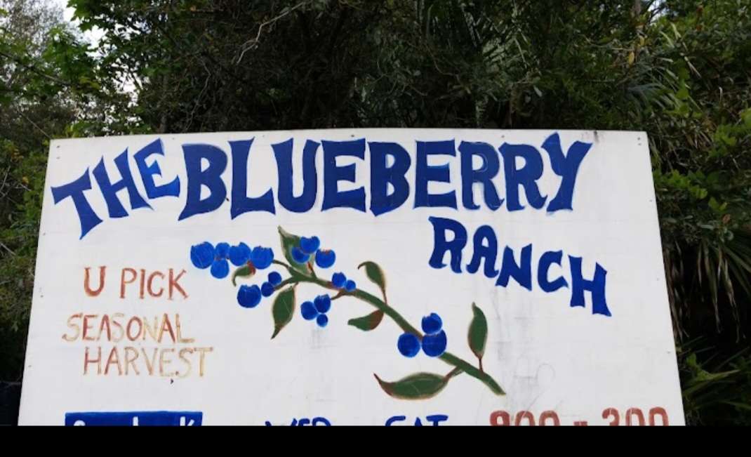 The Blueberry Ranch - Hipcamp in Yulee, Florida