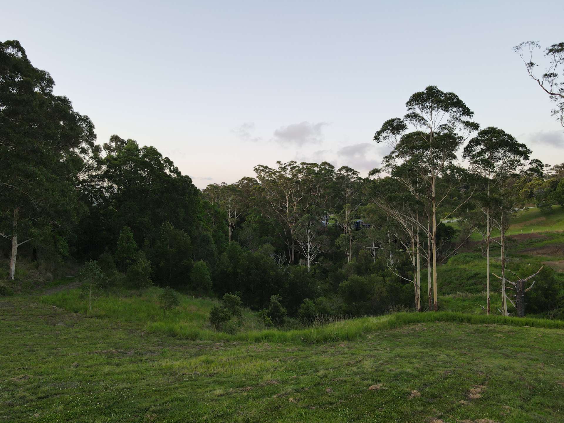 Black Cockatoo Valley - Hipcamp in Witta, Queensland