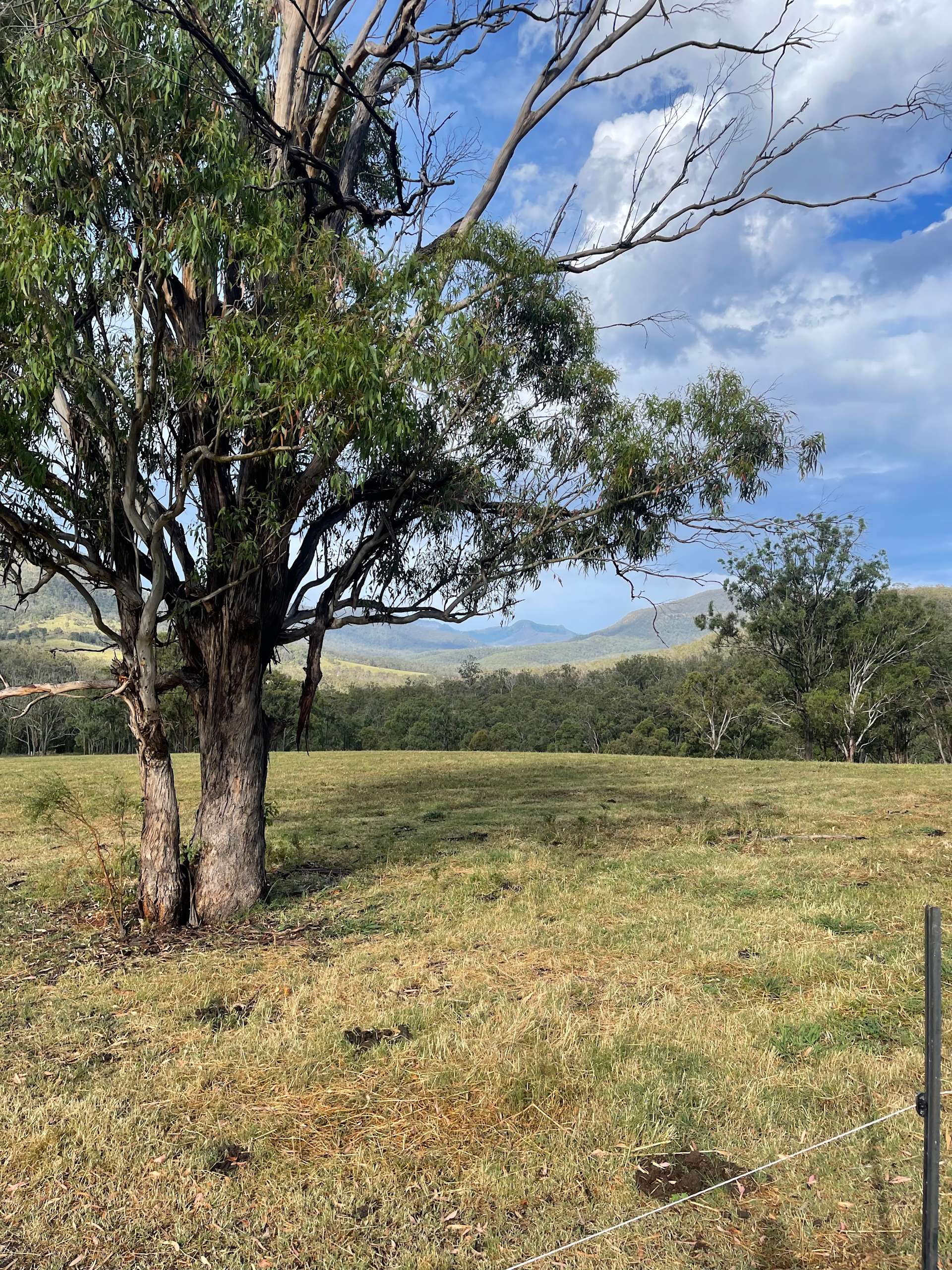 Kimblehurst - Hipcamp in Emu Vale, Queensland