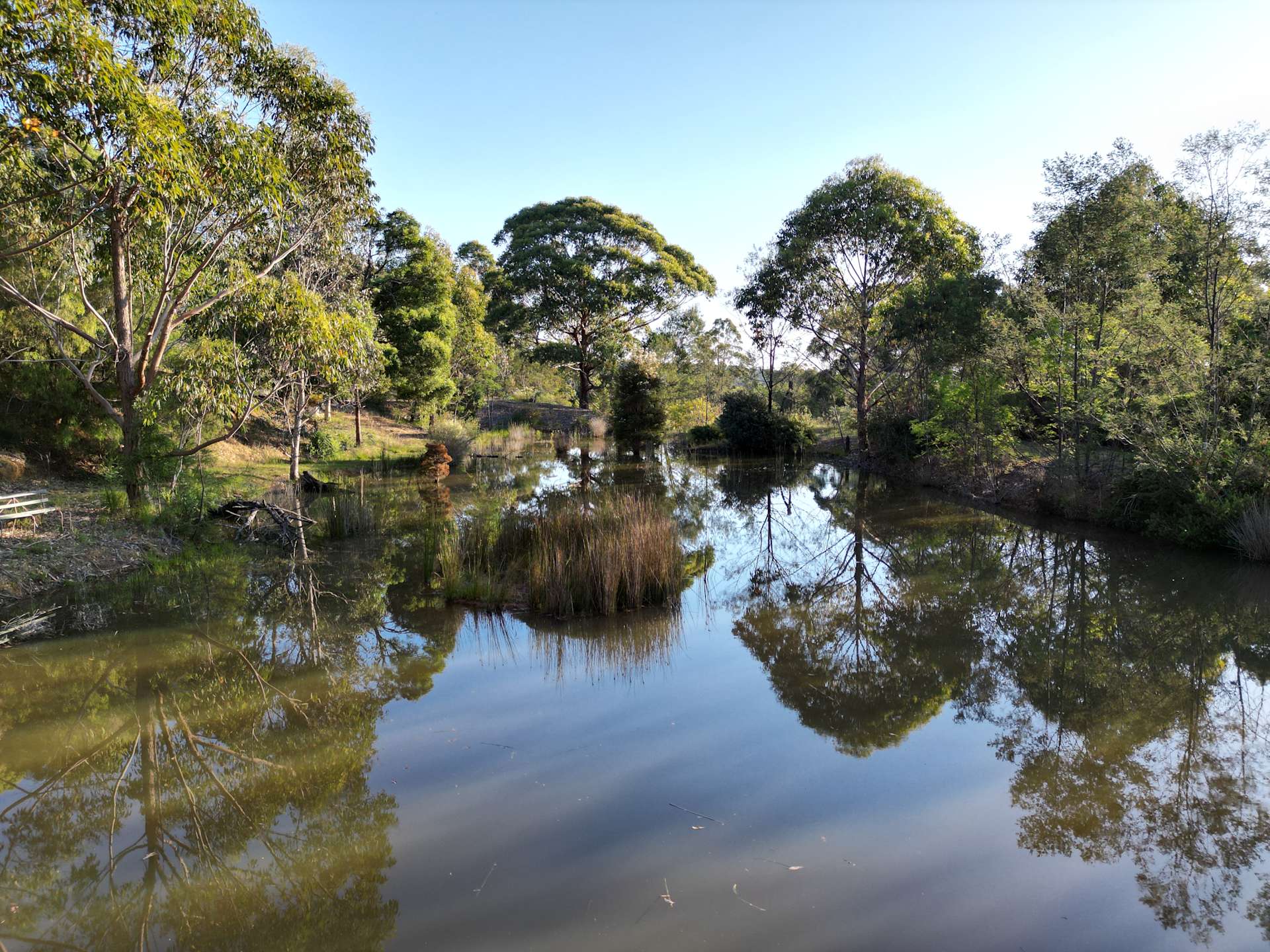 Stockyard Lane - Hipcamp in Cabbage Tree Creek, Victoria