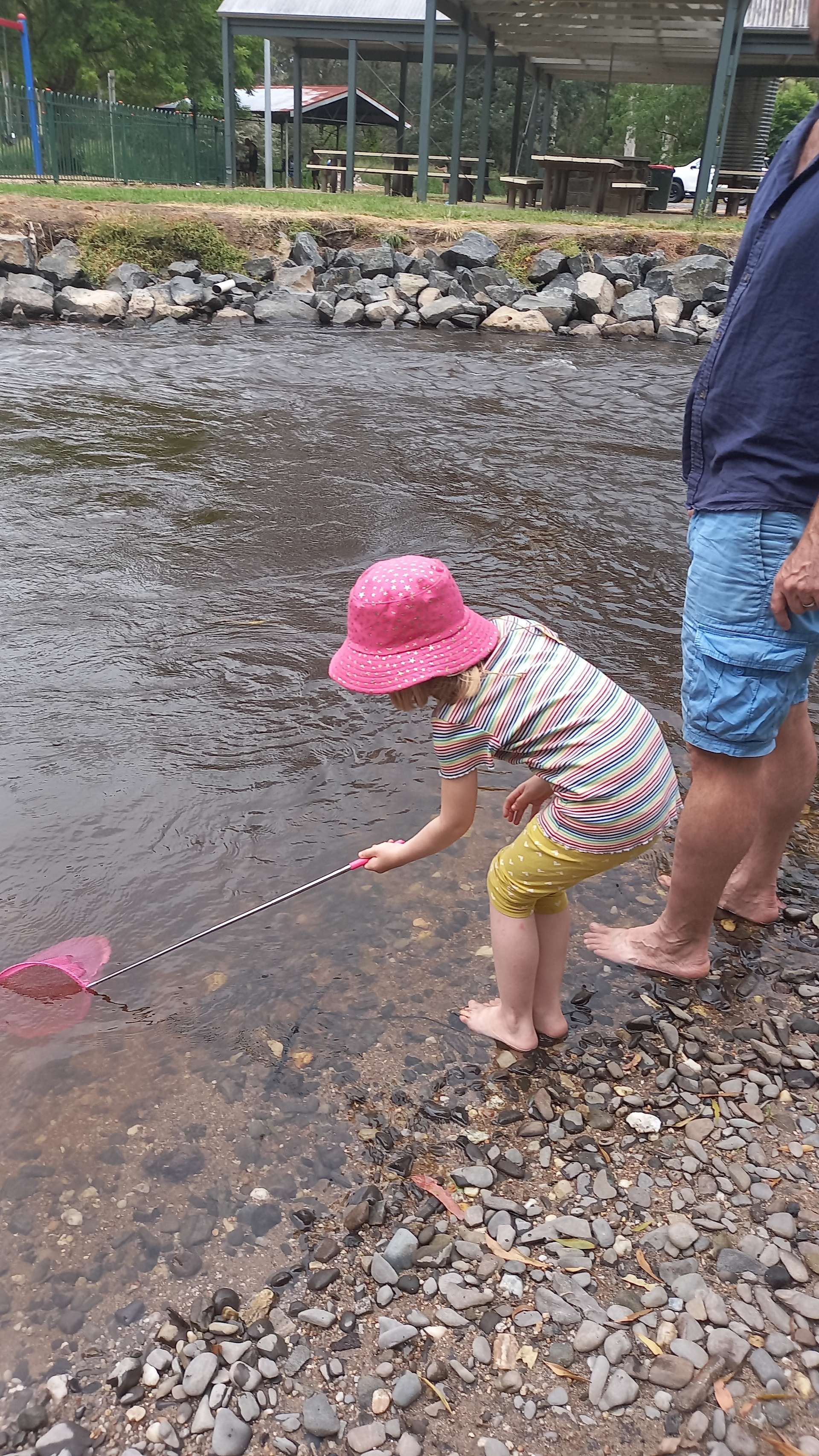 Angel Peace - Hipcamp in Noojee, Victoria
