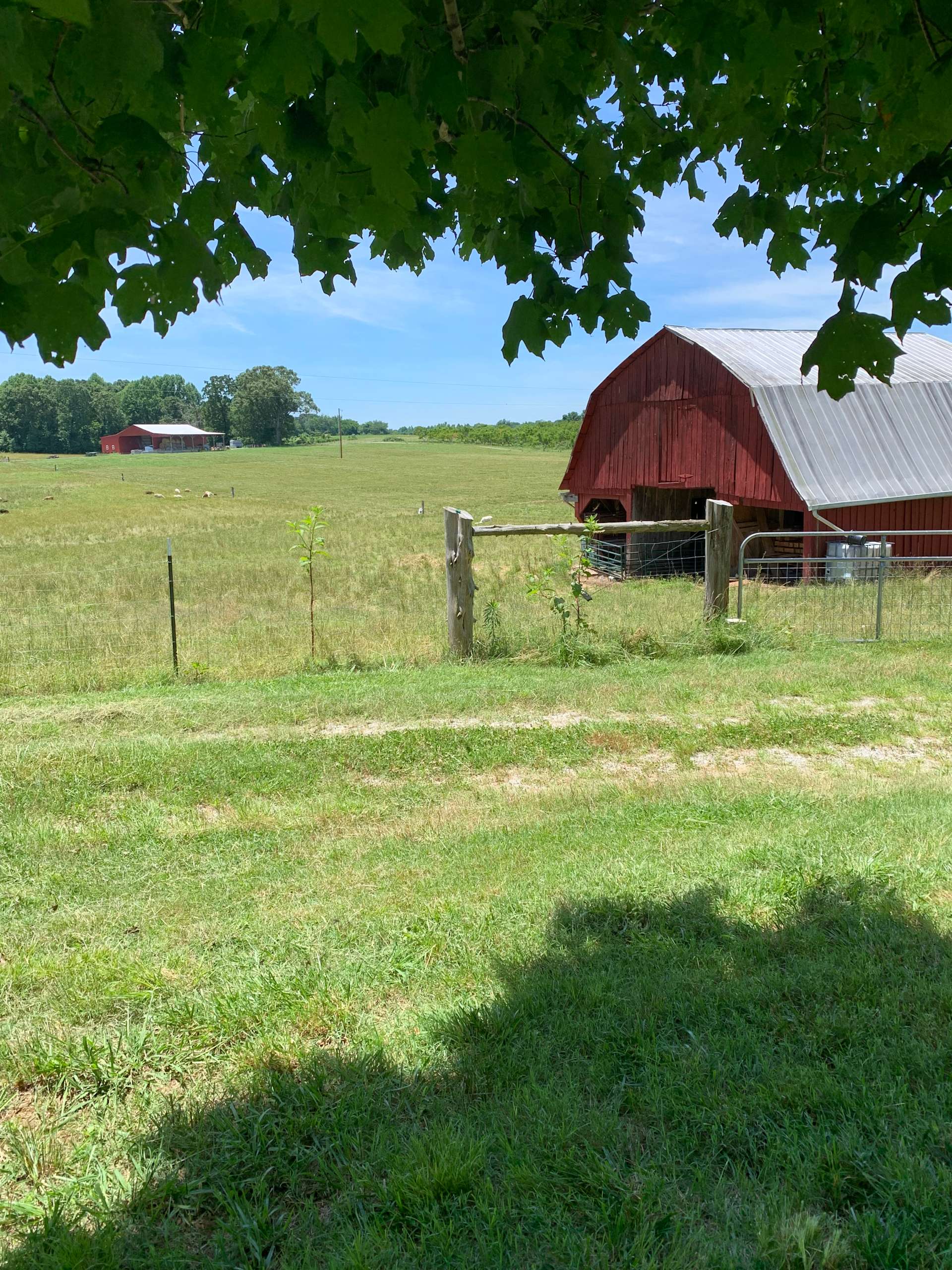 St. Isidore Farm - Hipcamp in Hillsboro, Tennessee