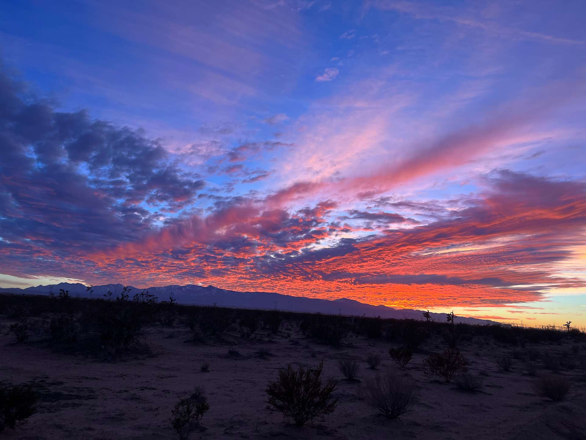 Lake Olancha RV Park and Campground - Hipcamp in , California