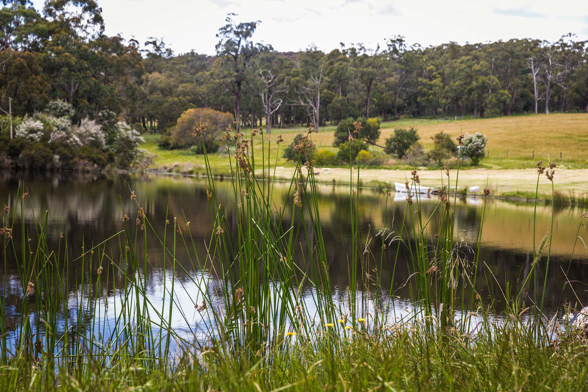 Frank's Farm - Hipcamp in Trafalgar East, Victoria