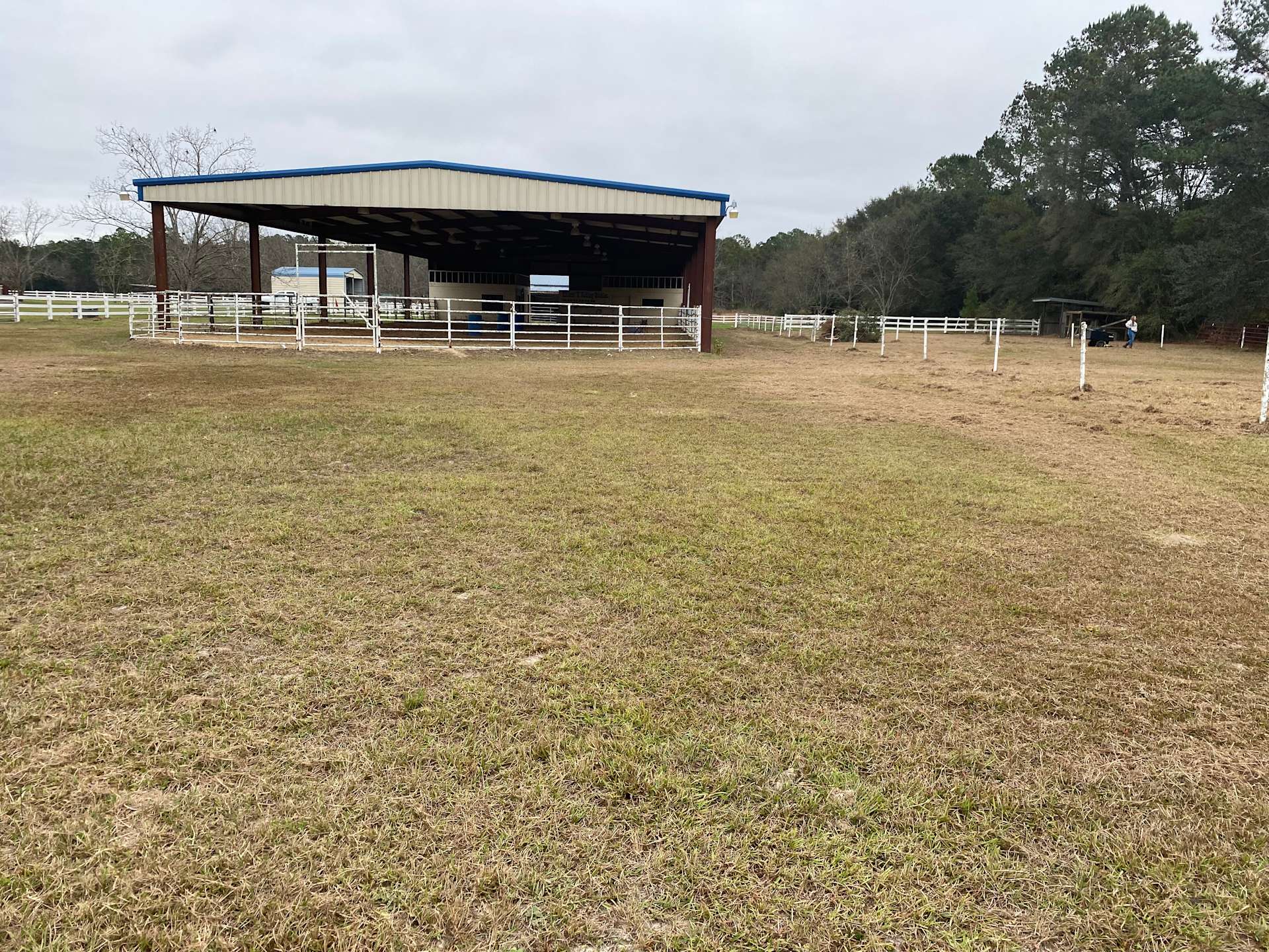 Bella Grace Equine Farm - Hipcamp in Waycross, Georgia