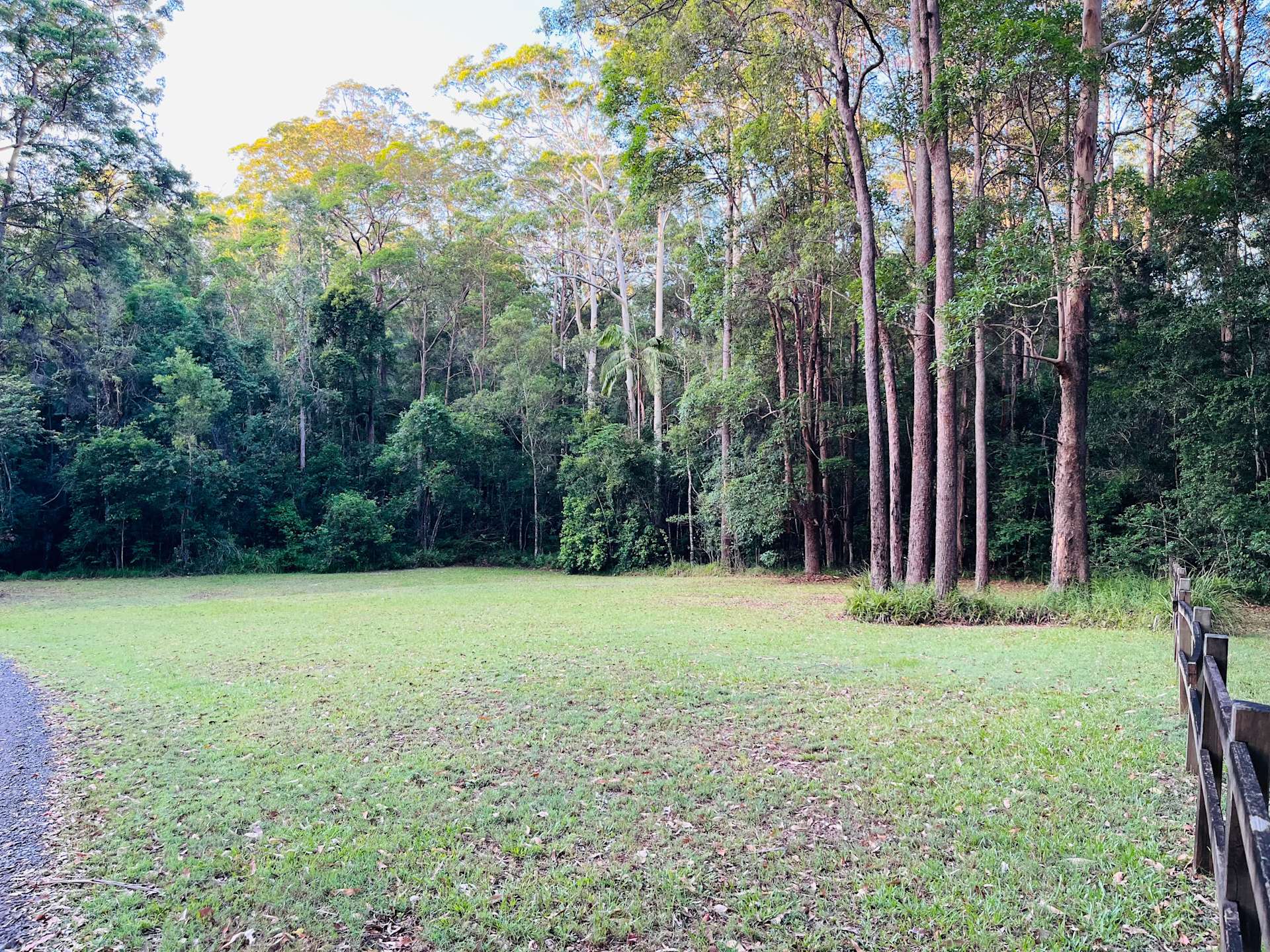 The Sanctuary - Noosa Hinterland - Hipcamp in Forest Acres, Queensland