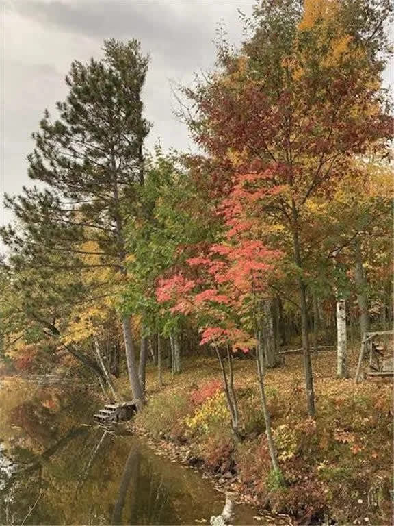 Wise Woods on Fool Lake - Hipcamp in , Minnesota