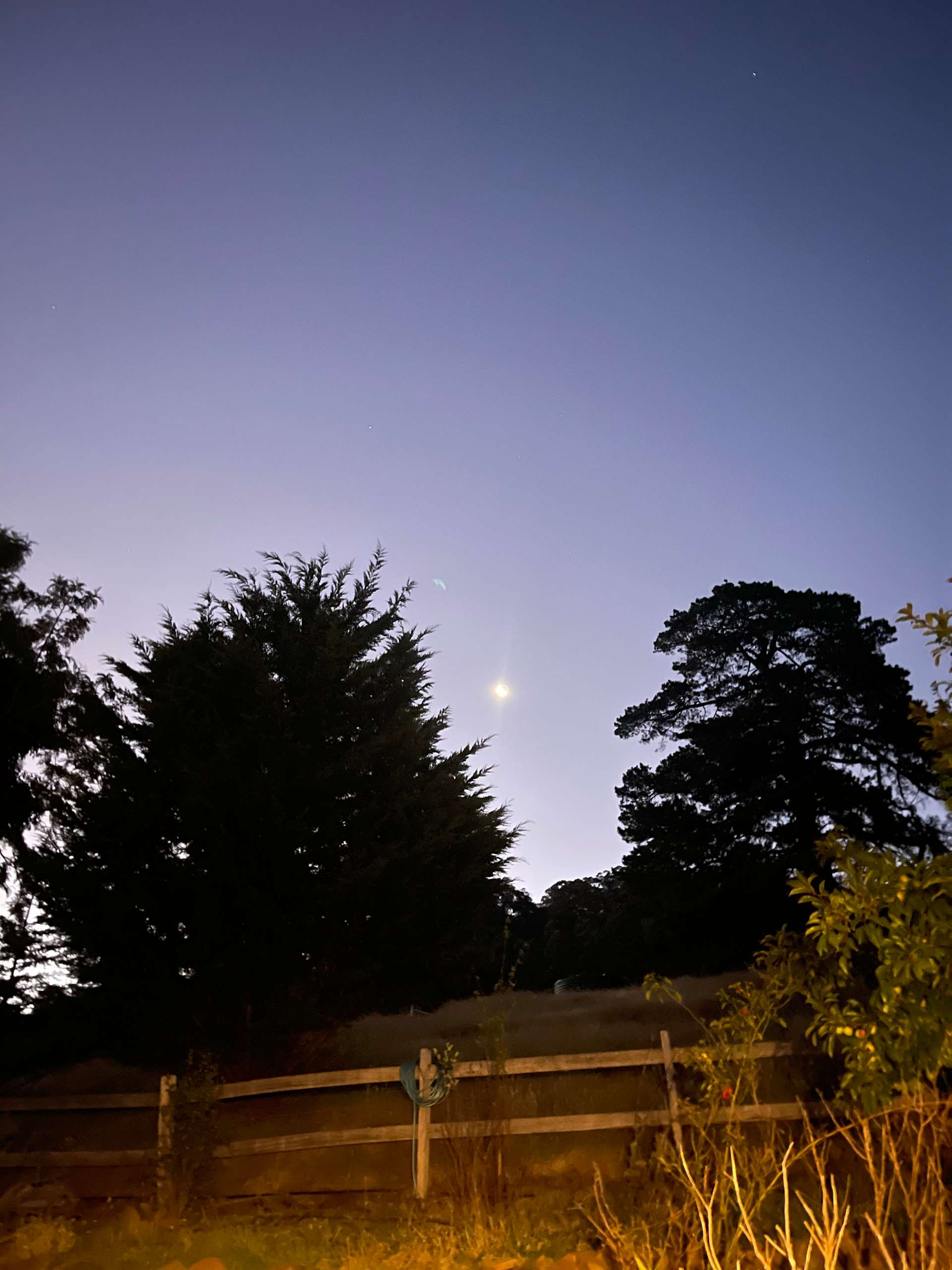 Rewild Farm - Hipcamp in Nethercote, New South Wales