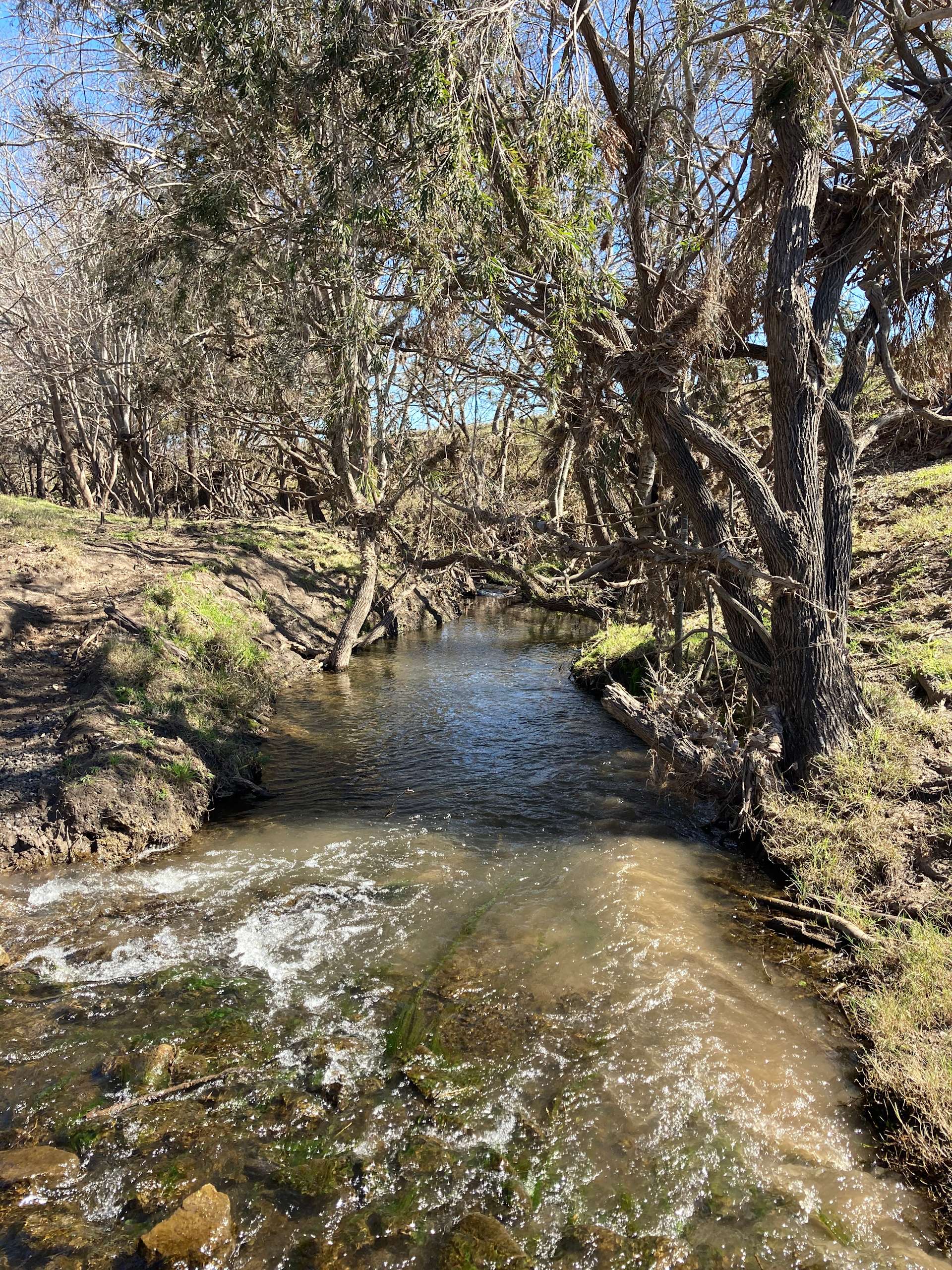 Dairy@Goomeri - Hipcamp in Goomeri, Queensland