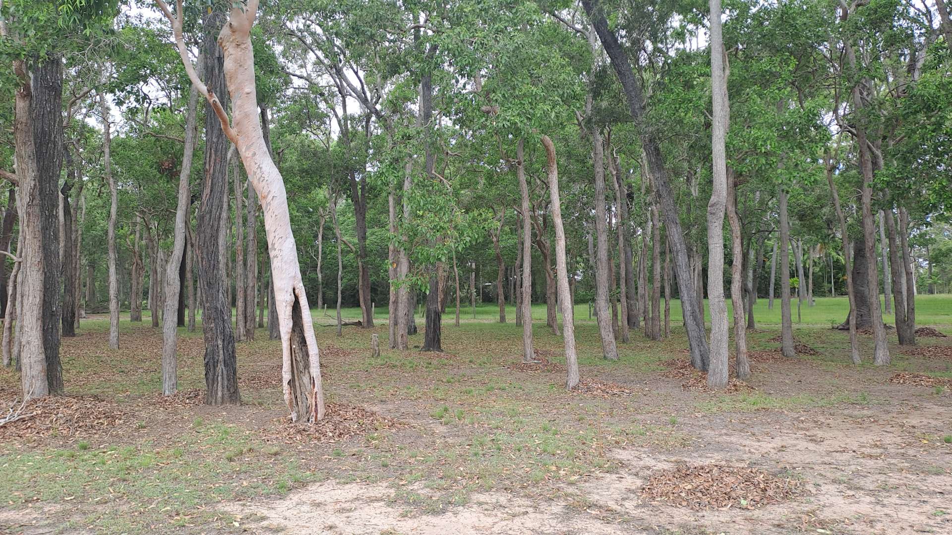 Jarrah Noongar - Hipcamp in Booral, Queensland