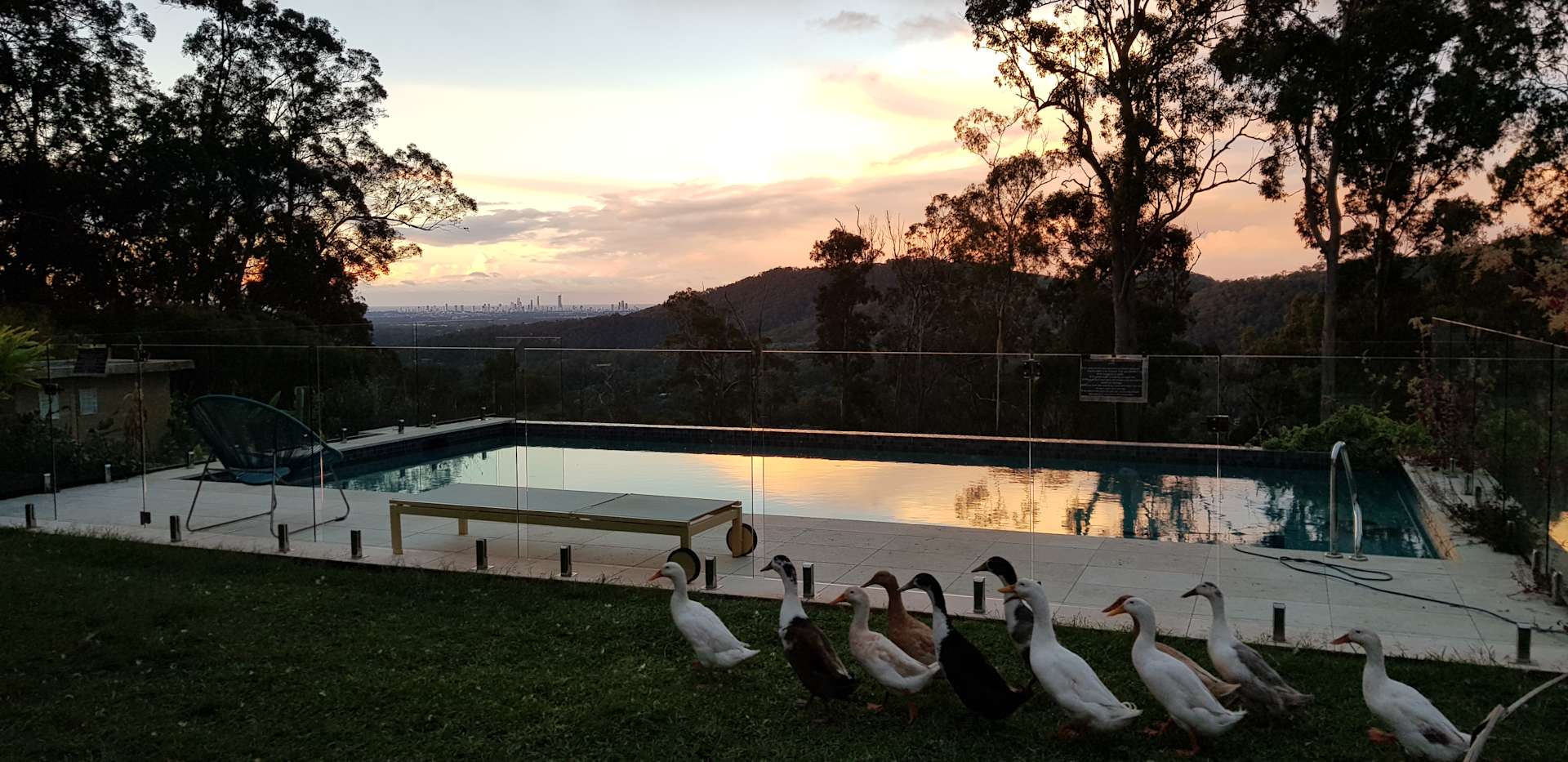 Gold Coast Tree Houses - Hipcamp in Austinville, Queensland