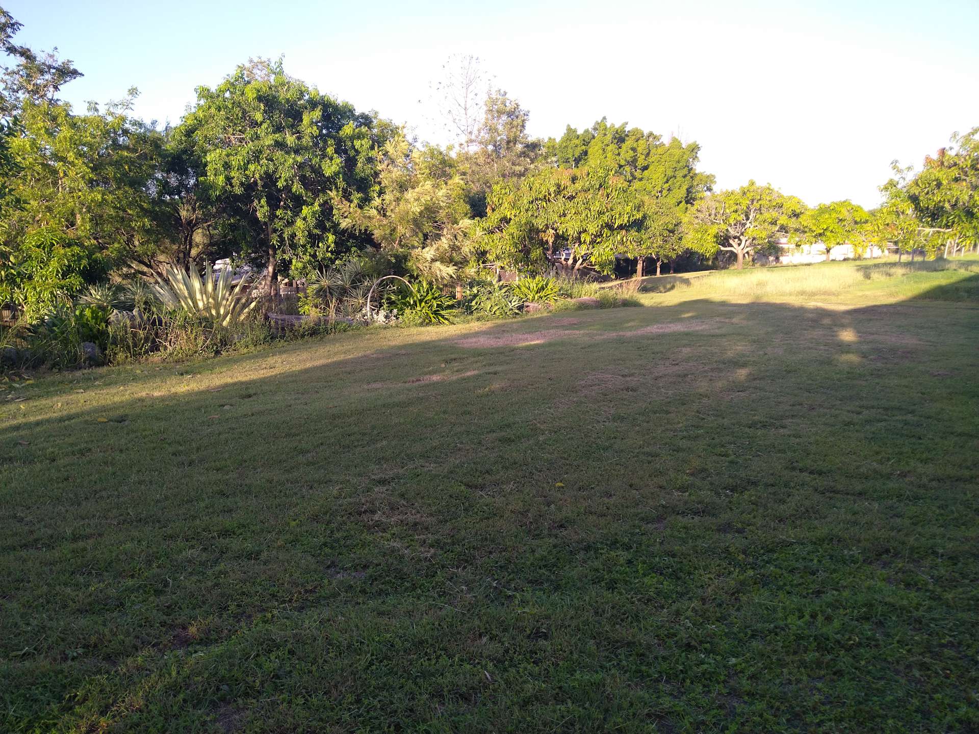 The Mango ranch - Hipcamp in Calliope, Queensland