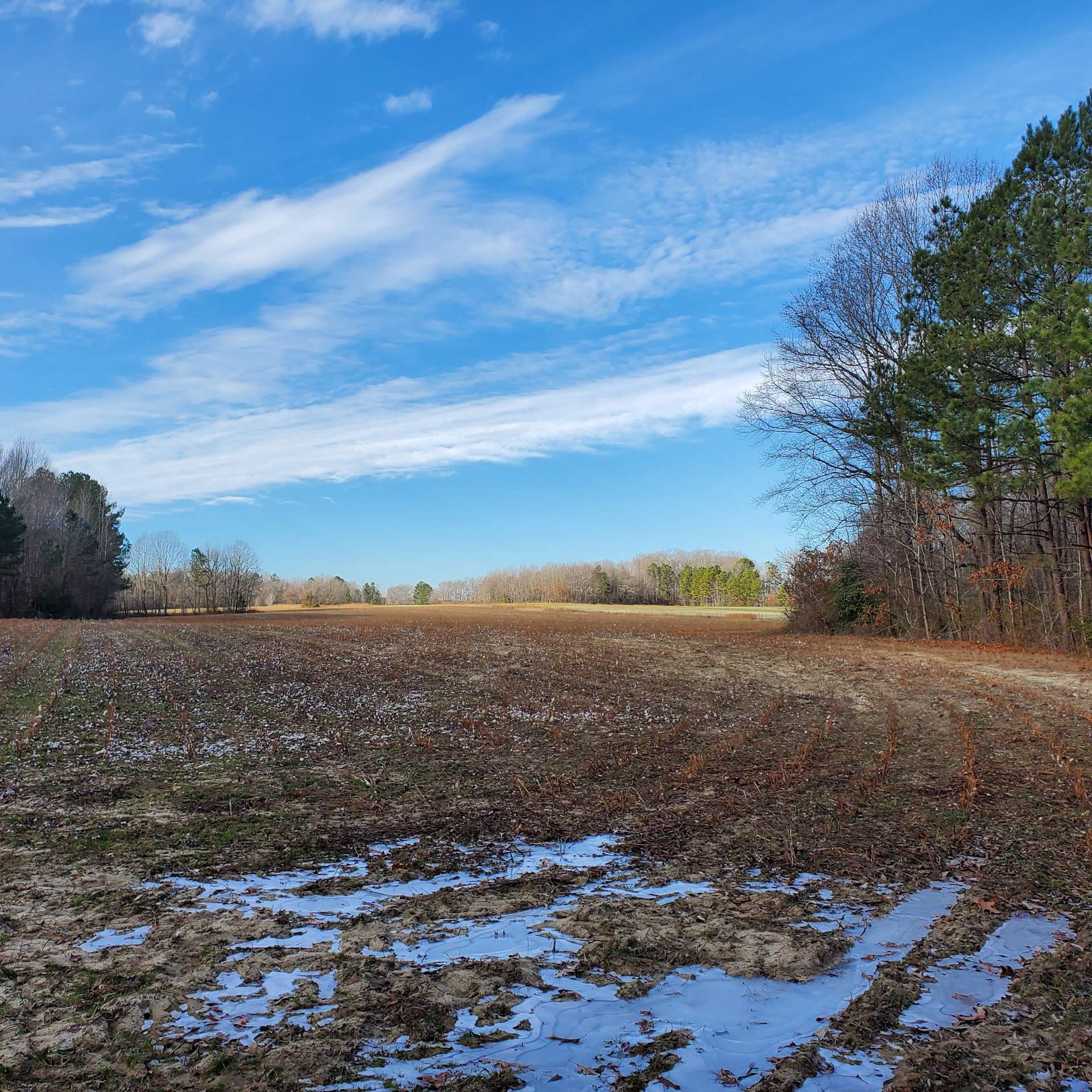 Clanton Family Farm - Hipcamp in Enfield, North Carolina
