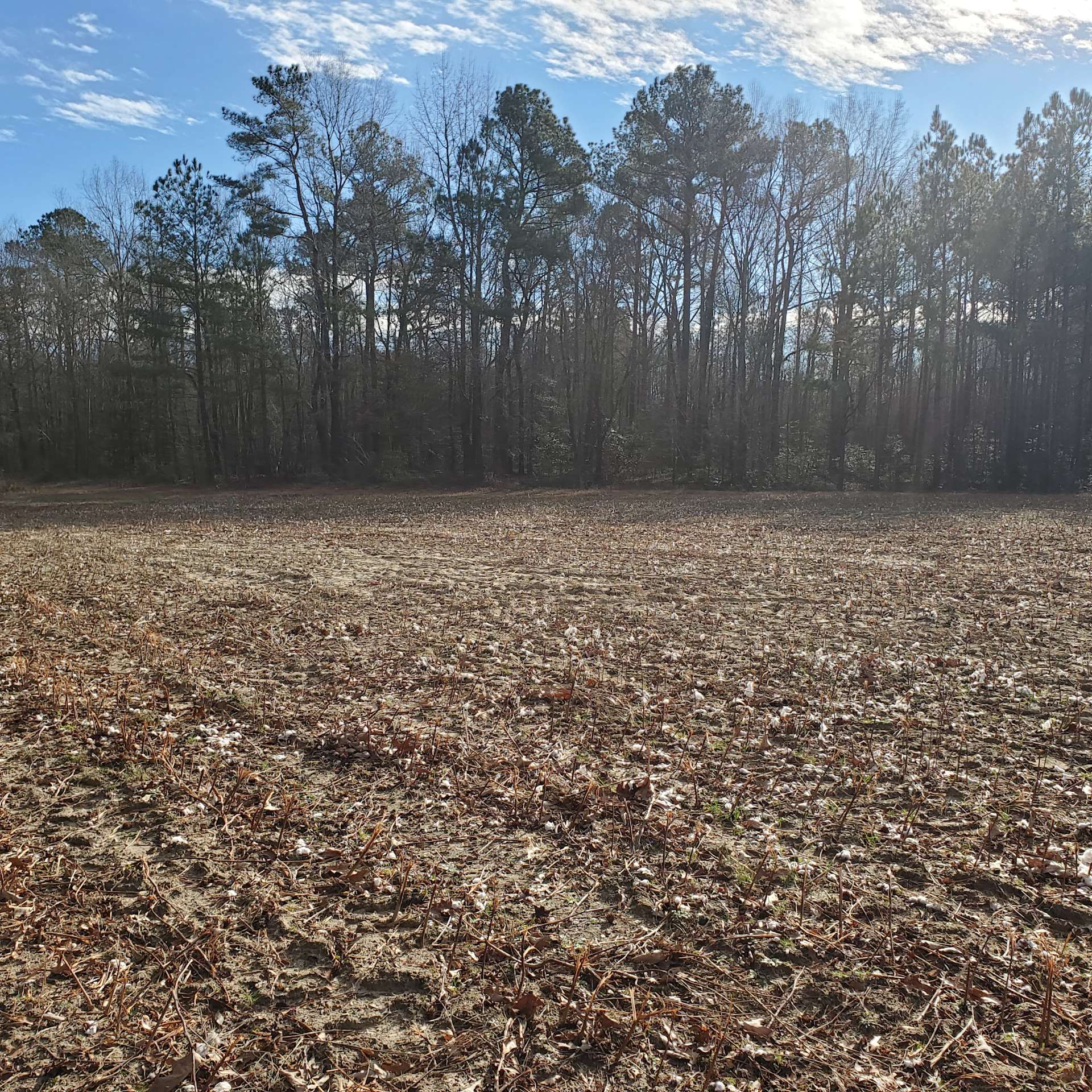 Clanton Family Farm - Hipcamp in Enfield, North Carolina