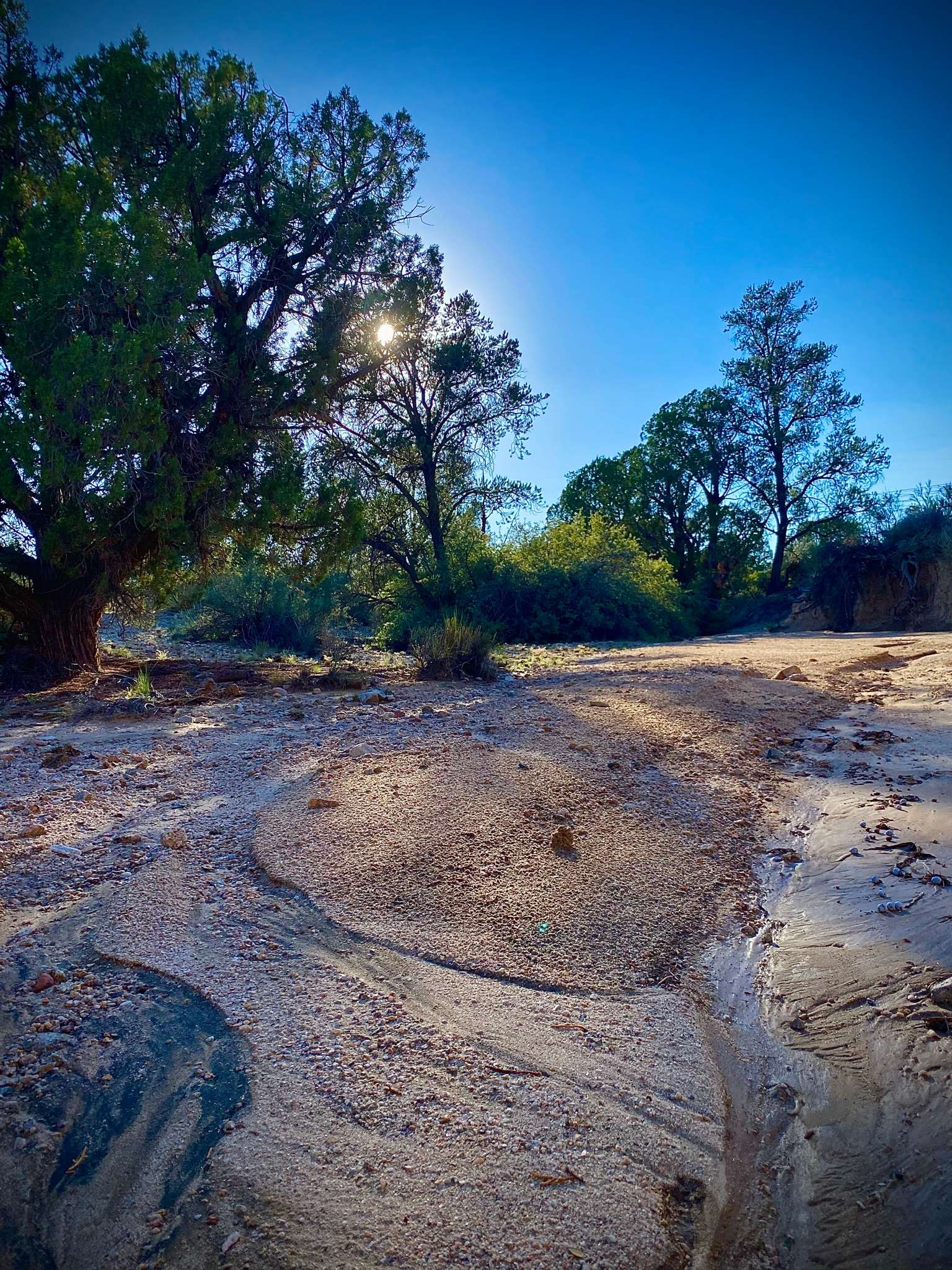 High Voltage Ranch - Hipcamp in Pine Lake, Arizona