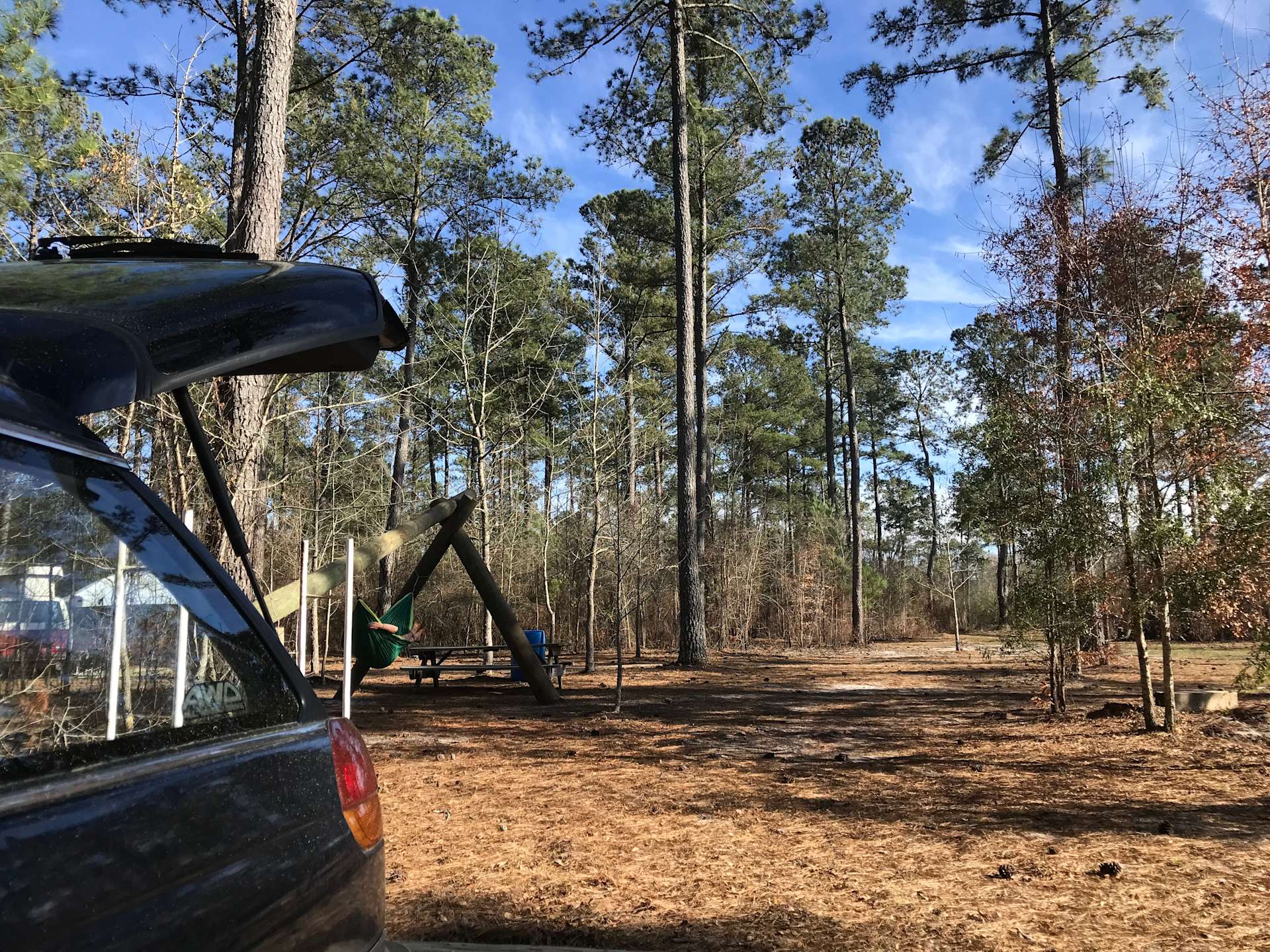 Charlotte's Whispering Pine Farm - Hipcamp in Atkinson, North Carolina
