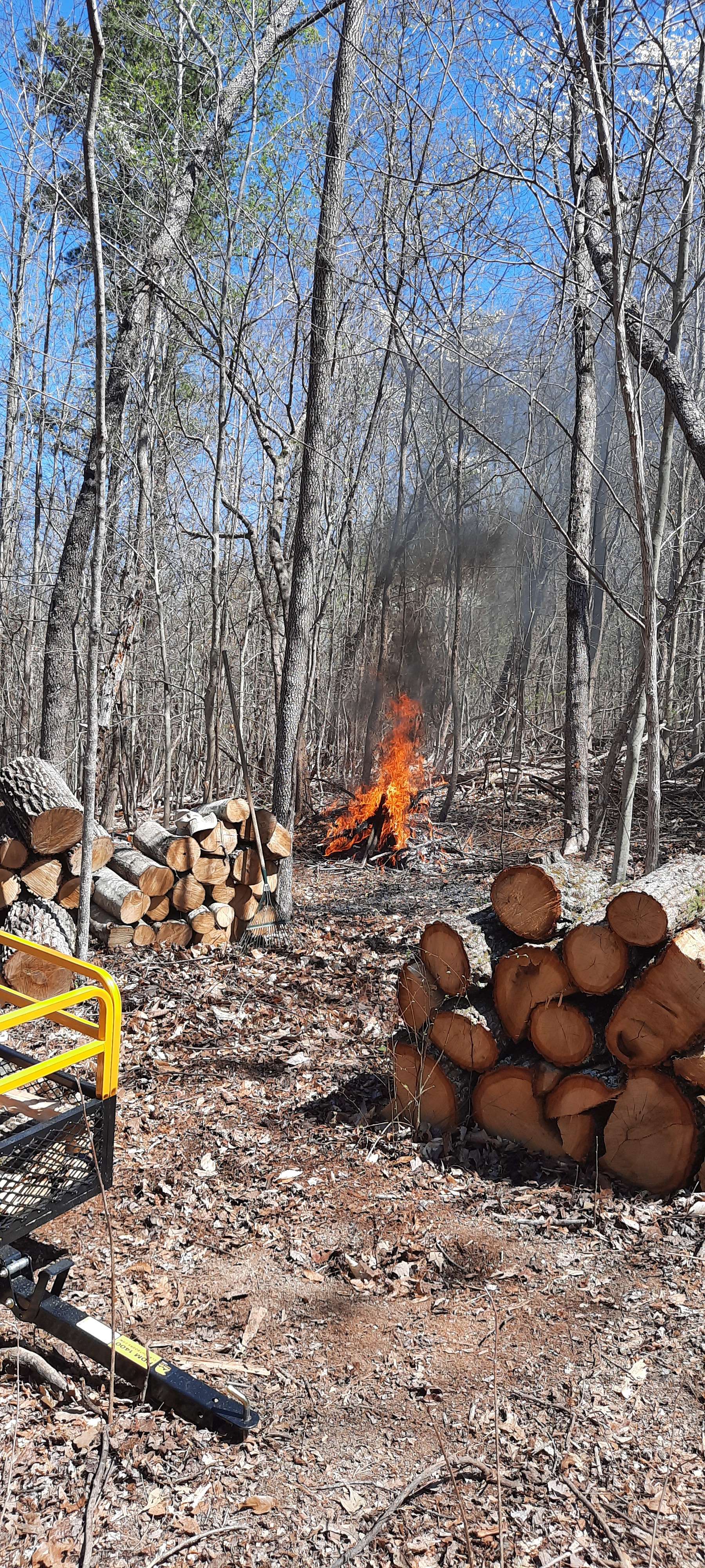 Little Bluff - Hipcamp in Wildwood, Georgia
