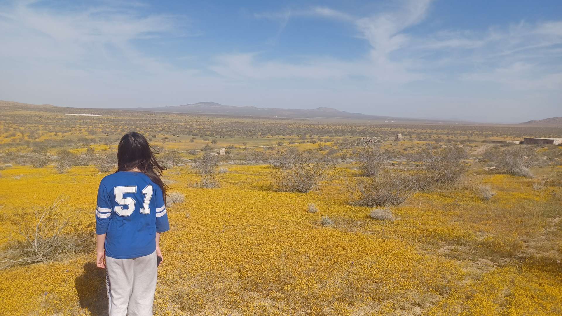 Ghost Cowboy Ranch - Hipcamp in , California