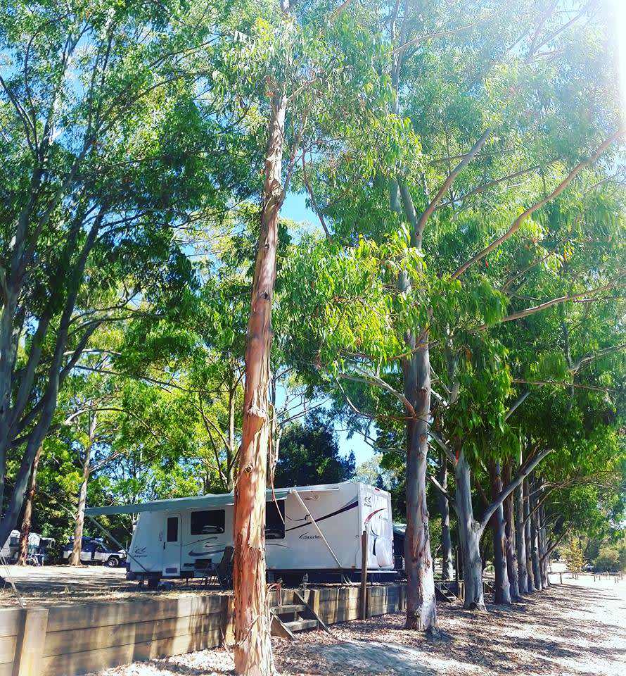 Big Valley Campsite - Hipcamp in Rosa Glen, Western Australia