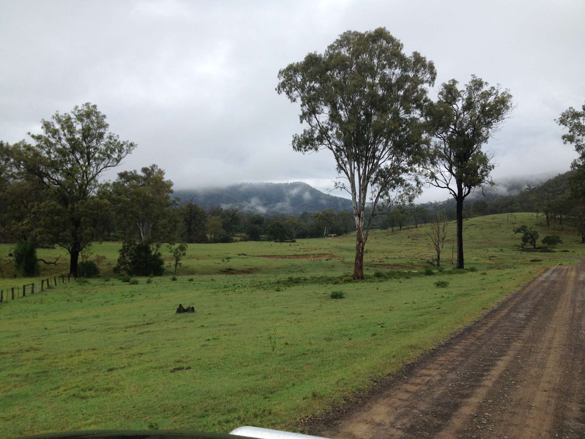 Undullah Campground - Hipcamp in Undullah, Queensland
