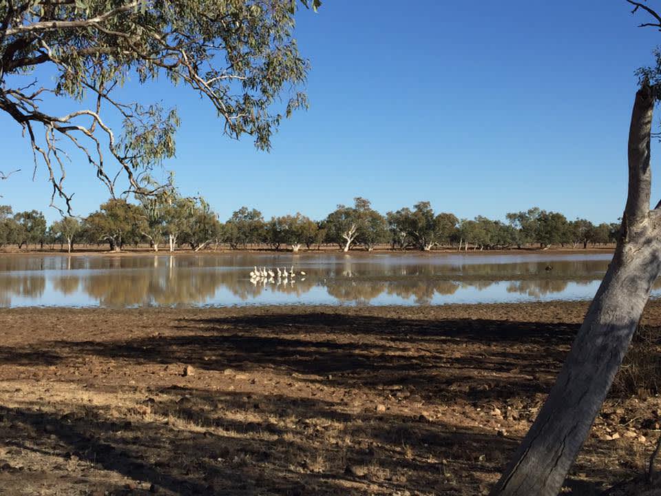 The Lake, Quilpie - Hipcamp in Quilpie, Queensland