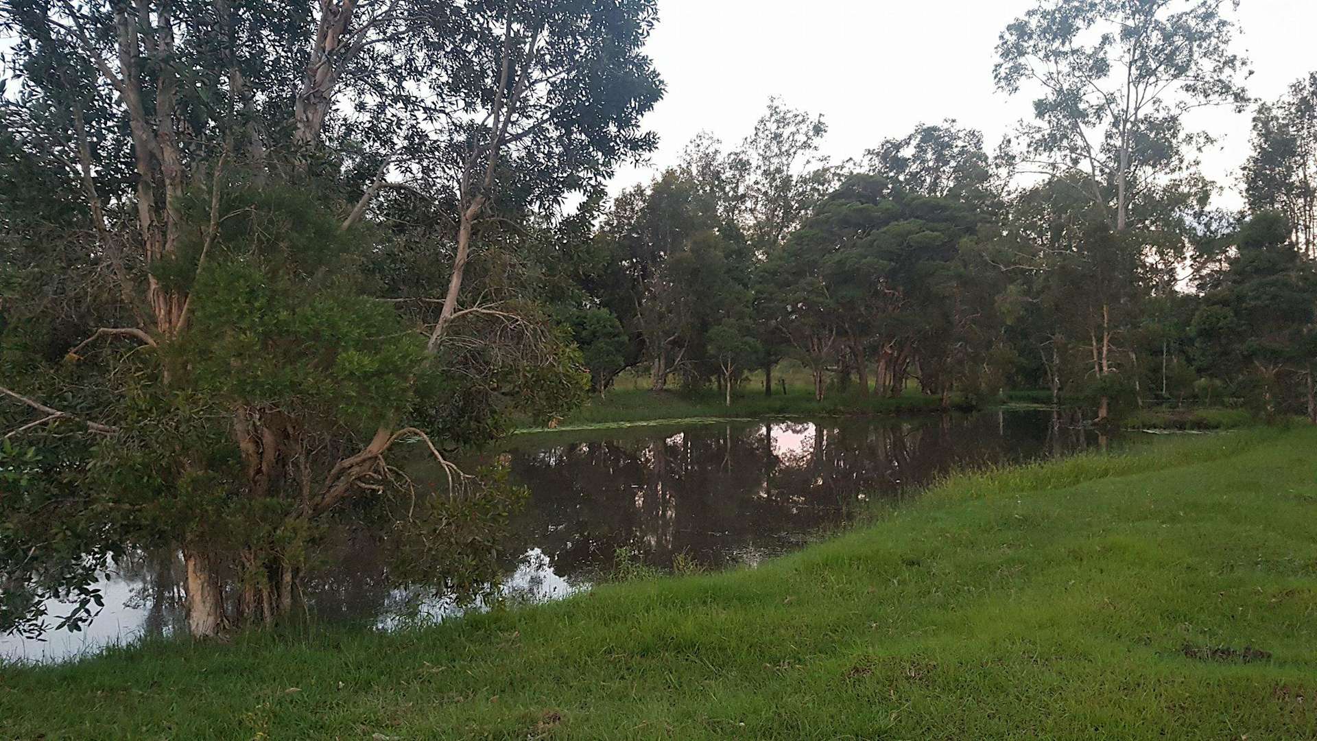 Warrego Warmblood Stud - Hipcamp in Stanmore, Queensland