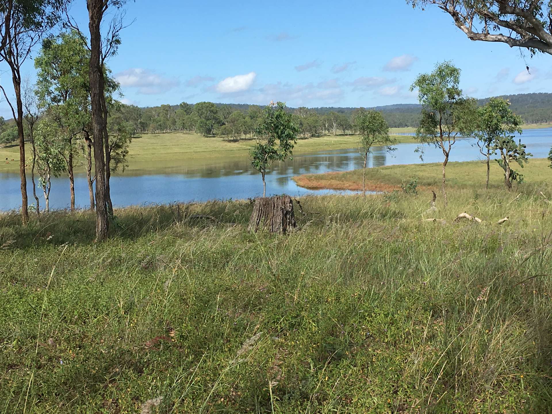 Hidden Gold Homestead - Hipcamp in Moffatdale, Queensland