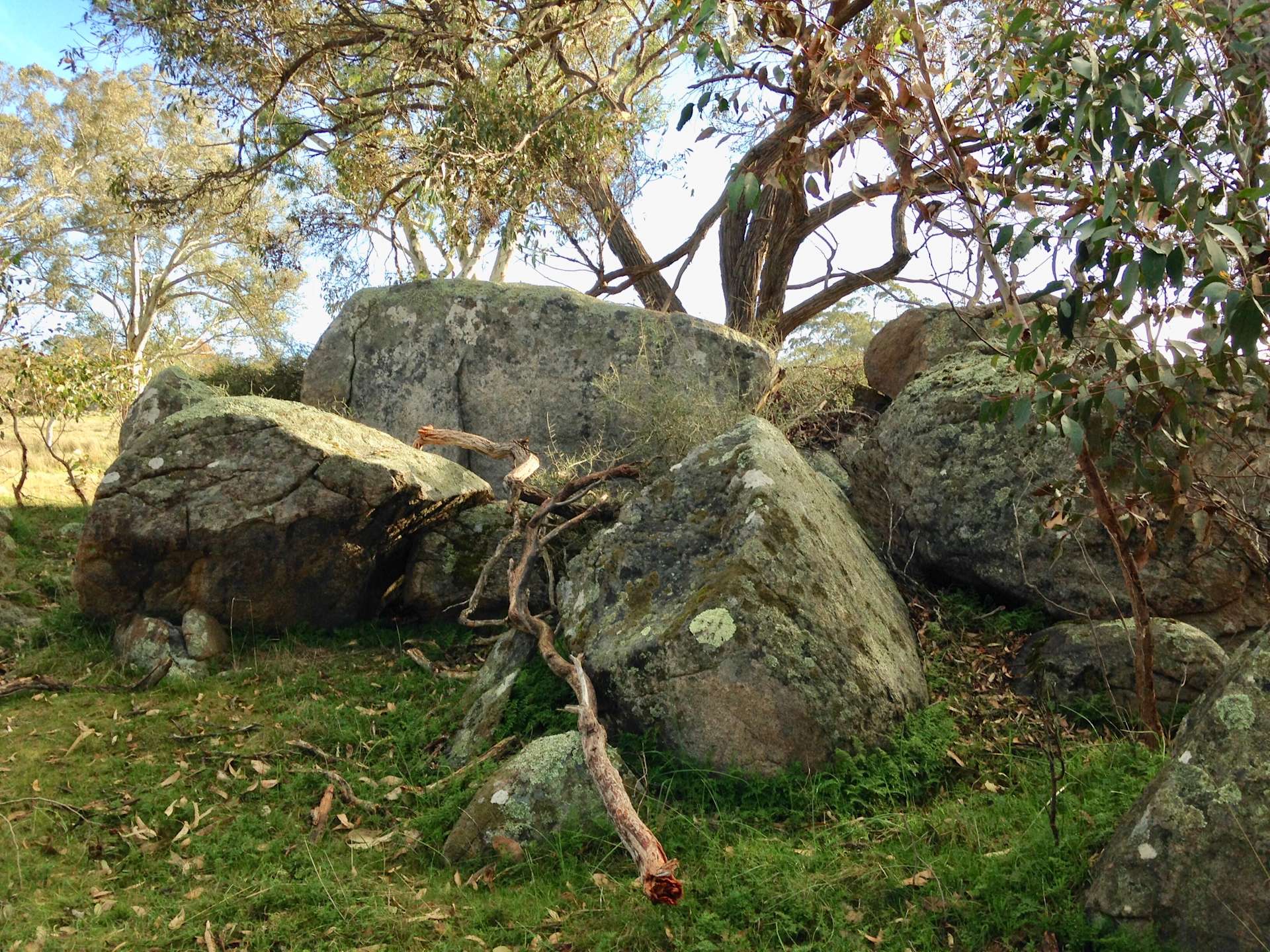 Rangelands Barossa Valley - Hipcamp in Flaxman Valley, South Australia
