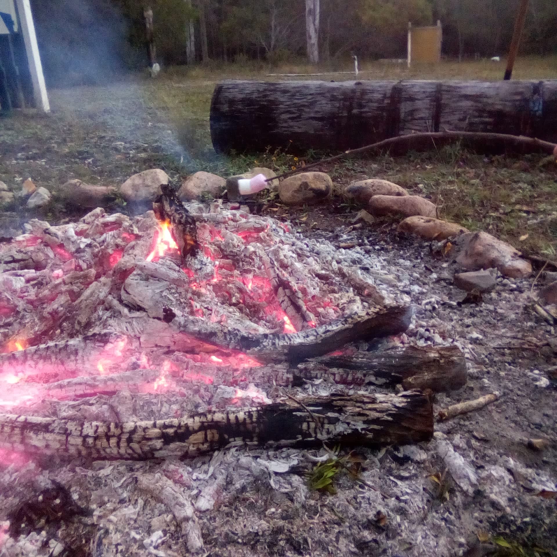 Reed's Residence - Hipcamp in Boompa, Queensland