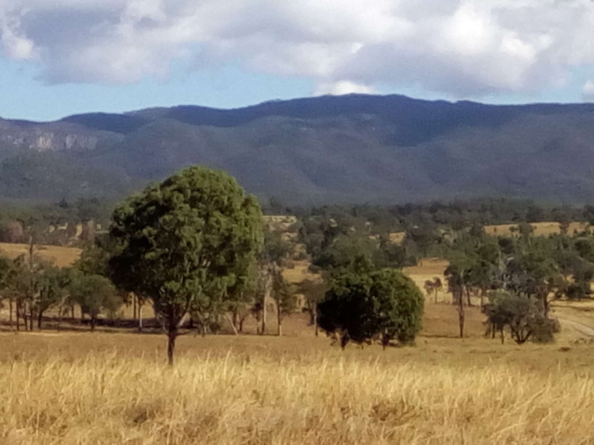Reed's Residence - Hipcamp in Boompa, Queensland