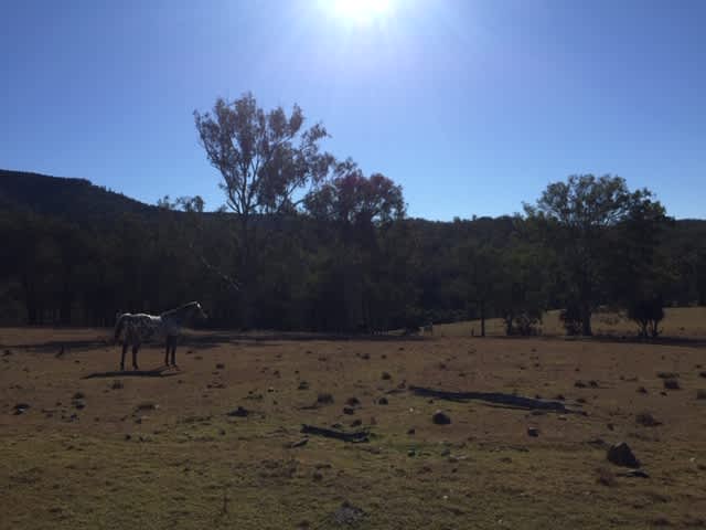 Gibbarnee - Hipcamp in Mount Stanley, Queensland