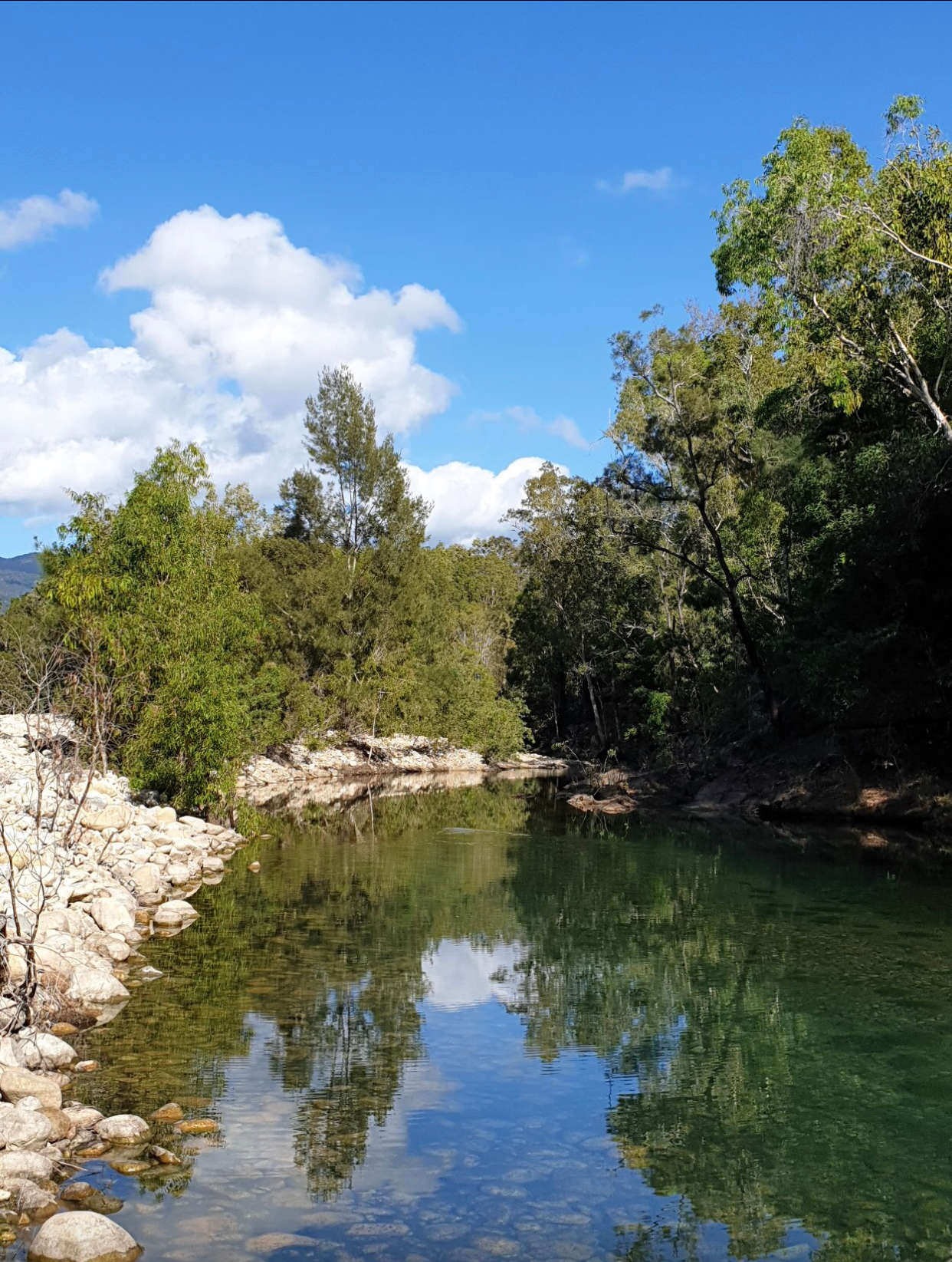 Mungalla Station - Hipcamp in Forrest Beach, Queensland