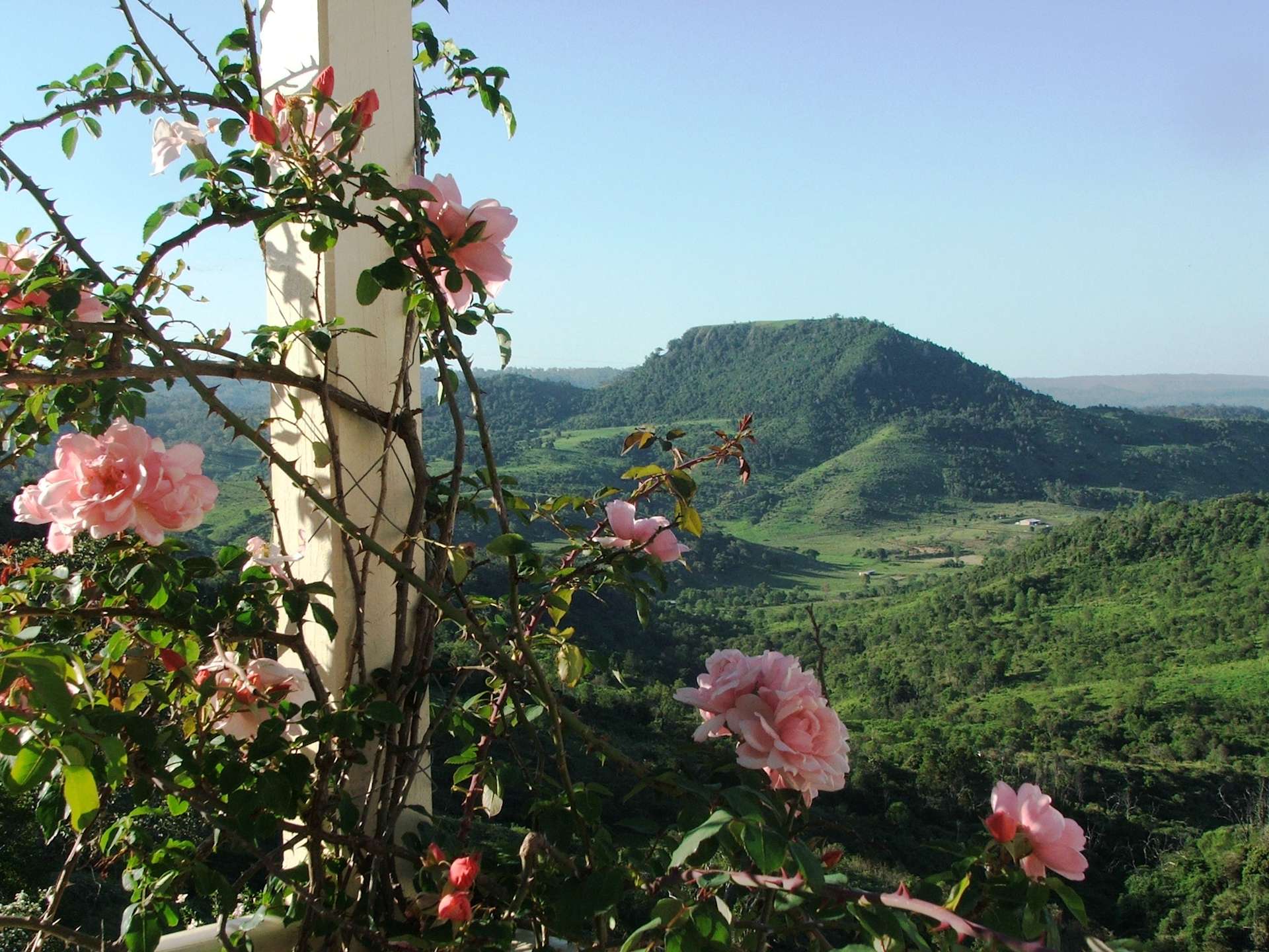 Silver Ridge ( Toowoomba) Hilltop Views - Hipcamp in Silver Ridge ...