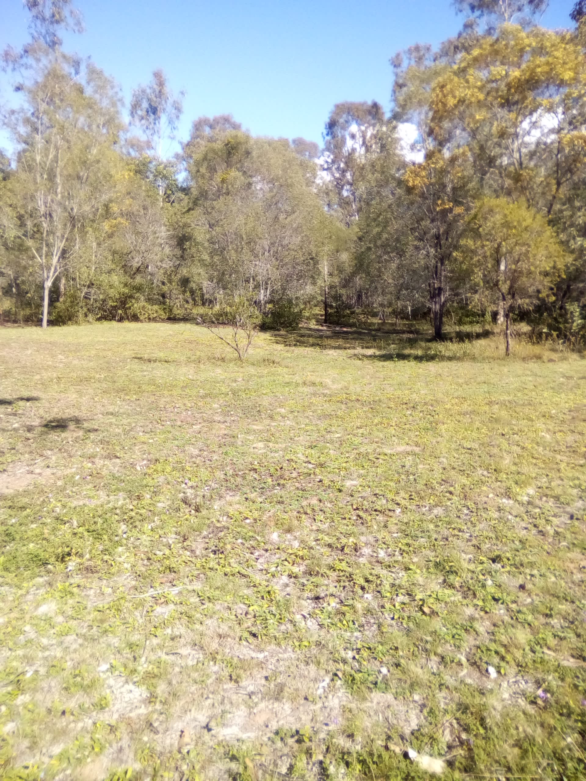Reed's Residence - Hipcamp in Boompa, Queensland