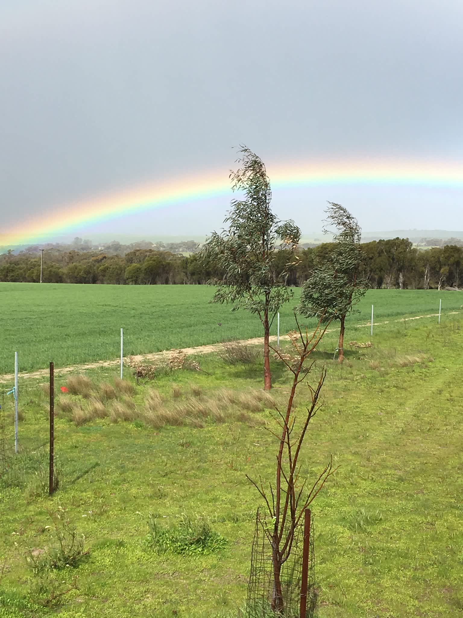 Clearview Farm - Hipcamp in Gunyidi, Western Australia