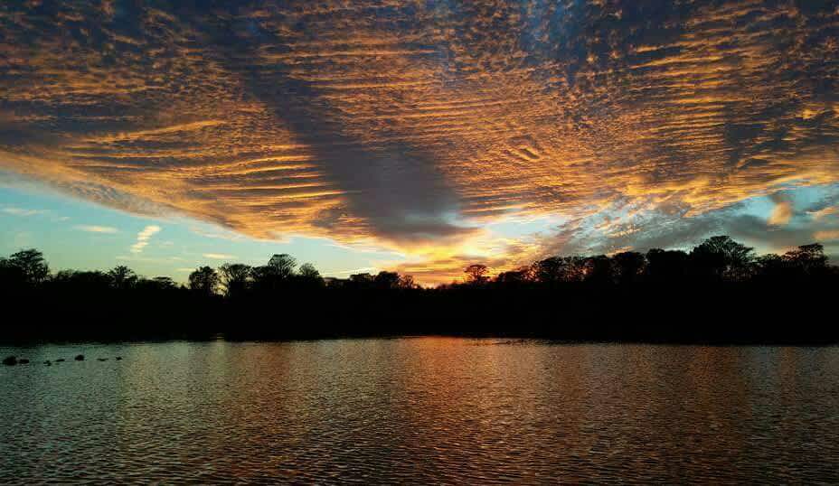 Top Central Florida Getaways